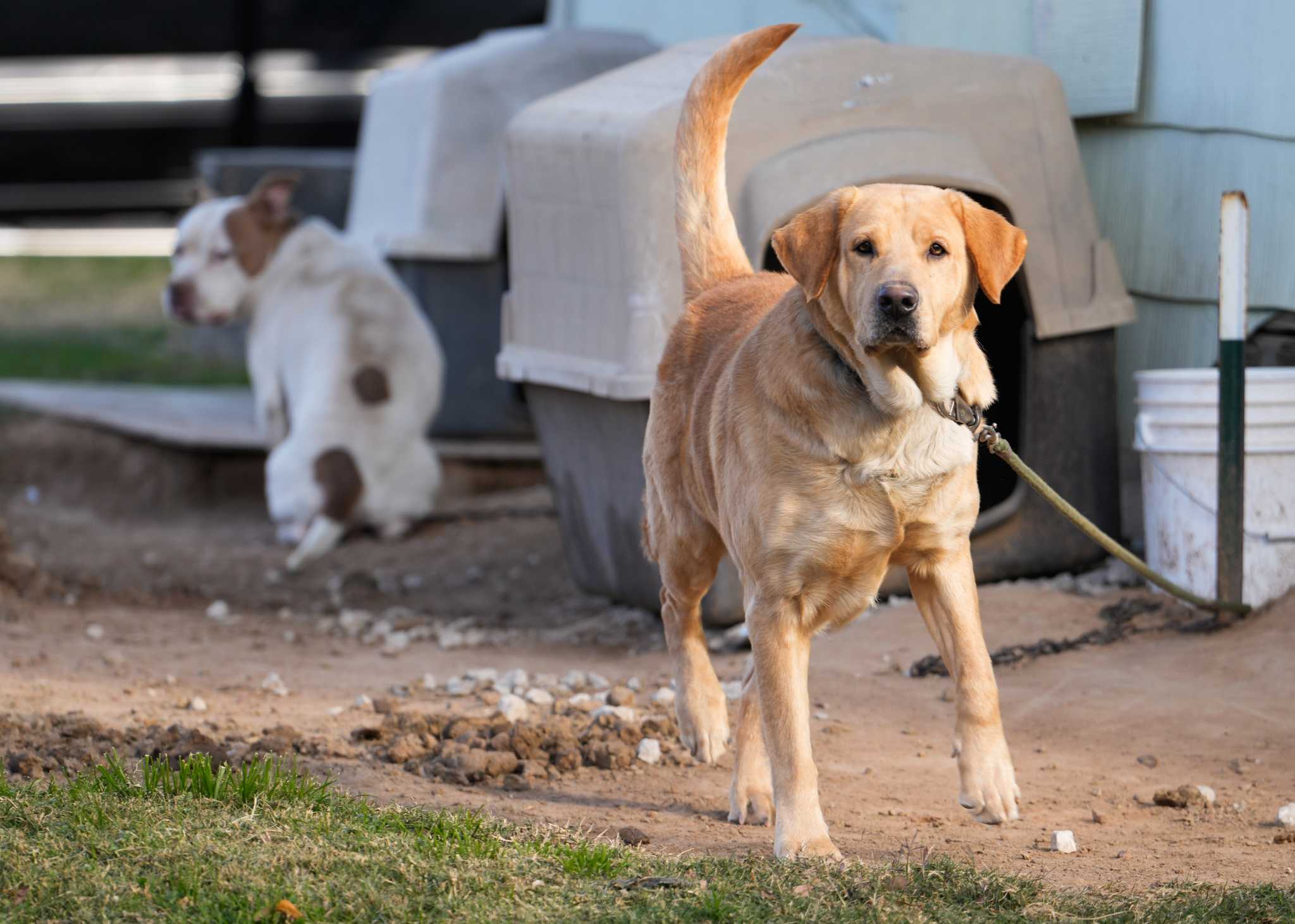 Octavia Johnson - Journalist Profile - Intelligent Relations