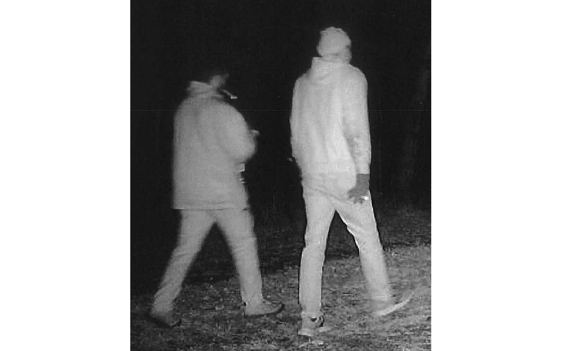Sanilac County sheriff seeks info on men seen on trail cam