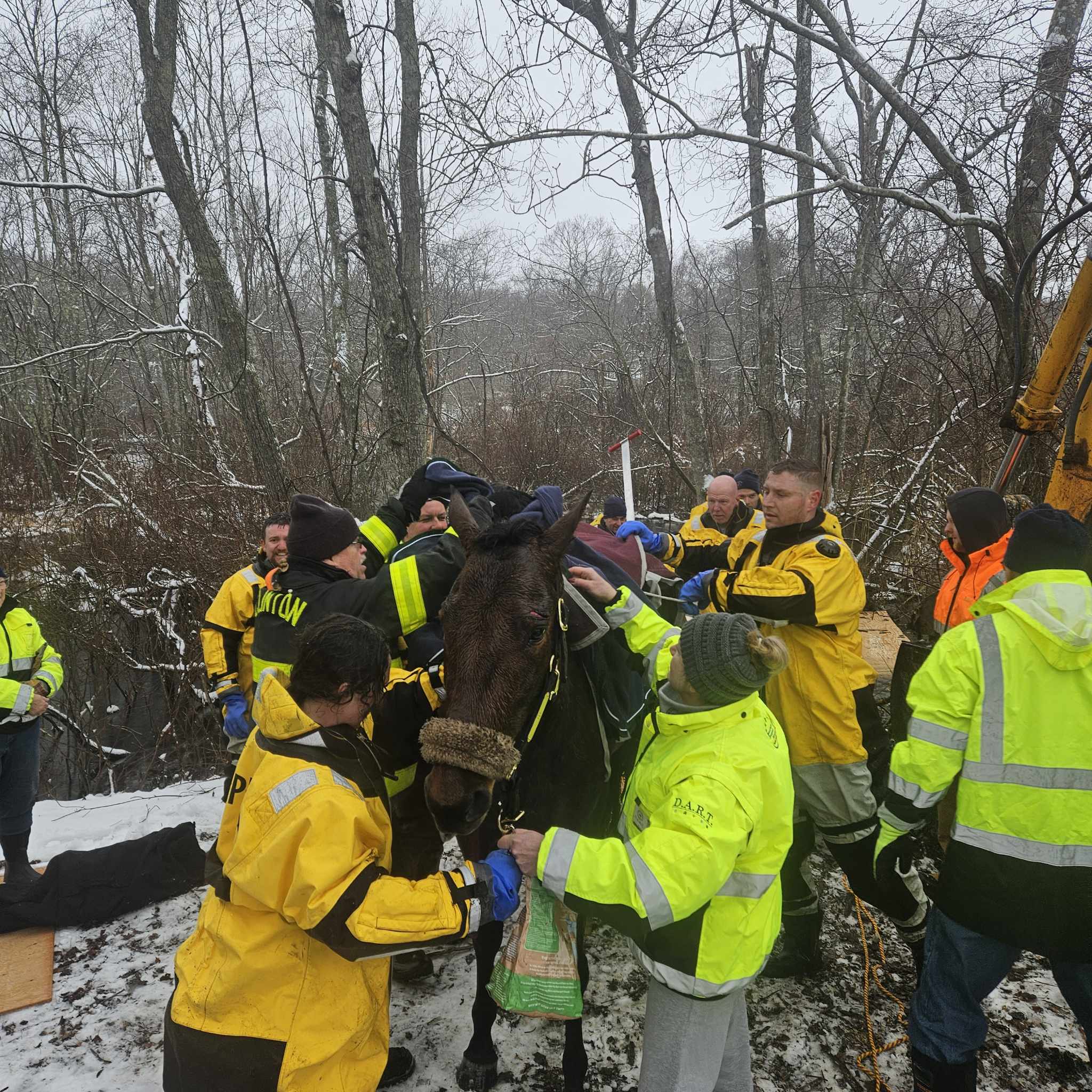 Clinton first responders rescue horse stuck in swamp, officials say