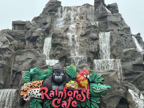 The Galveston Rainforest Cafe's waterfall froze in the cold