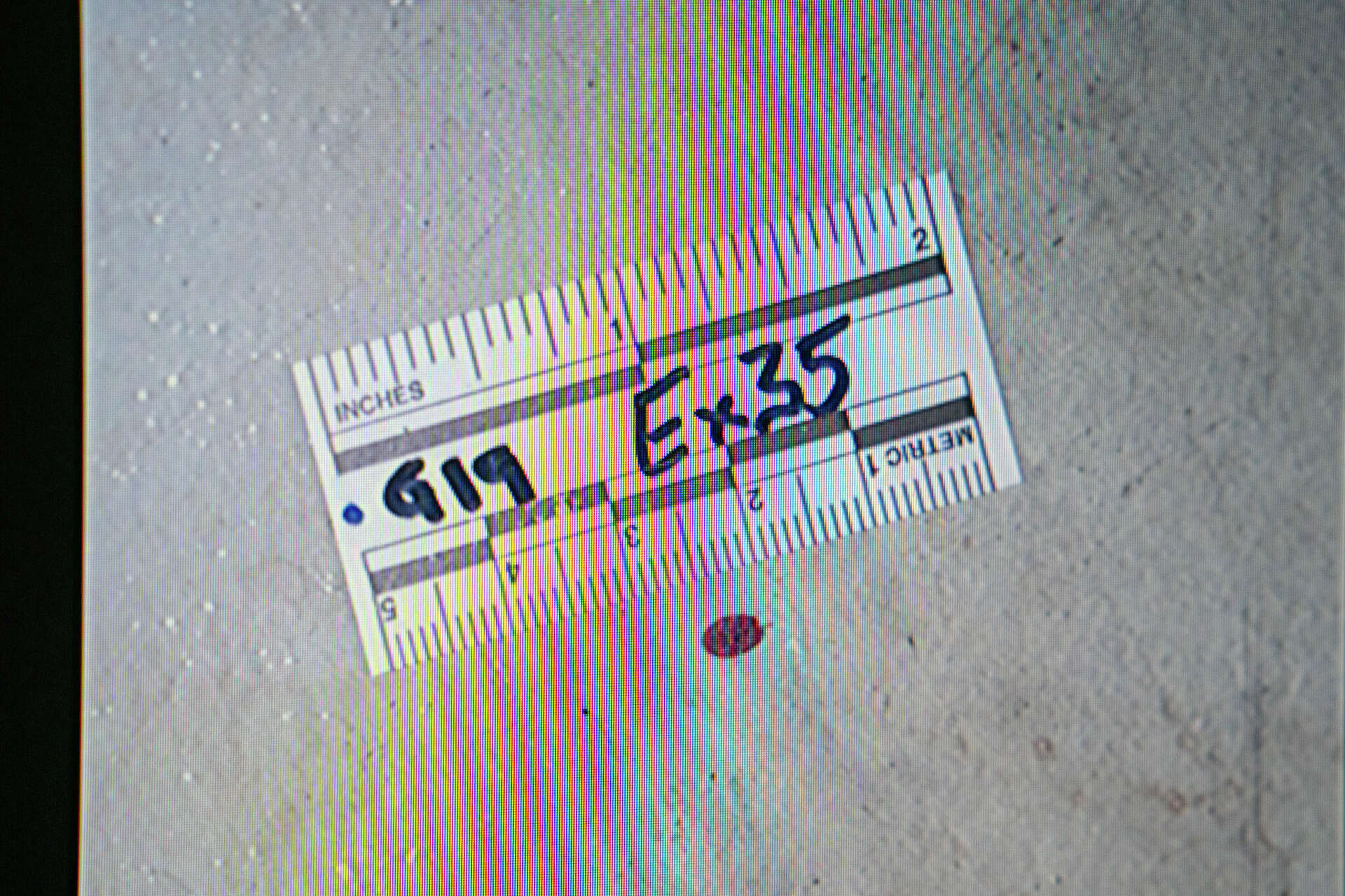 Troconis lawyer: Evidence shows 'something happened to Jennifer Dulos'