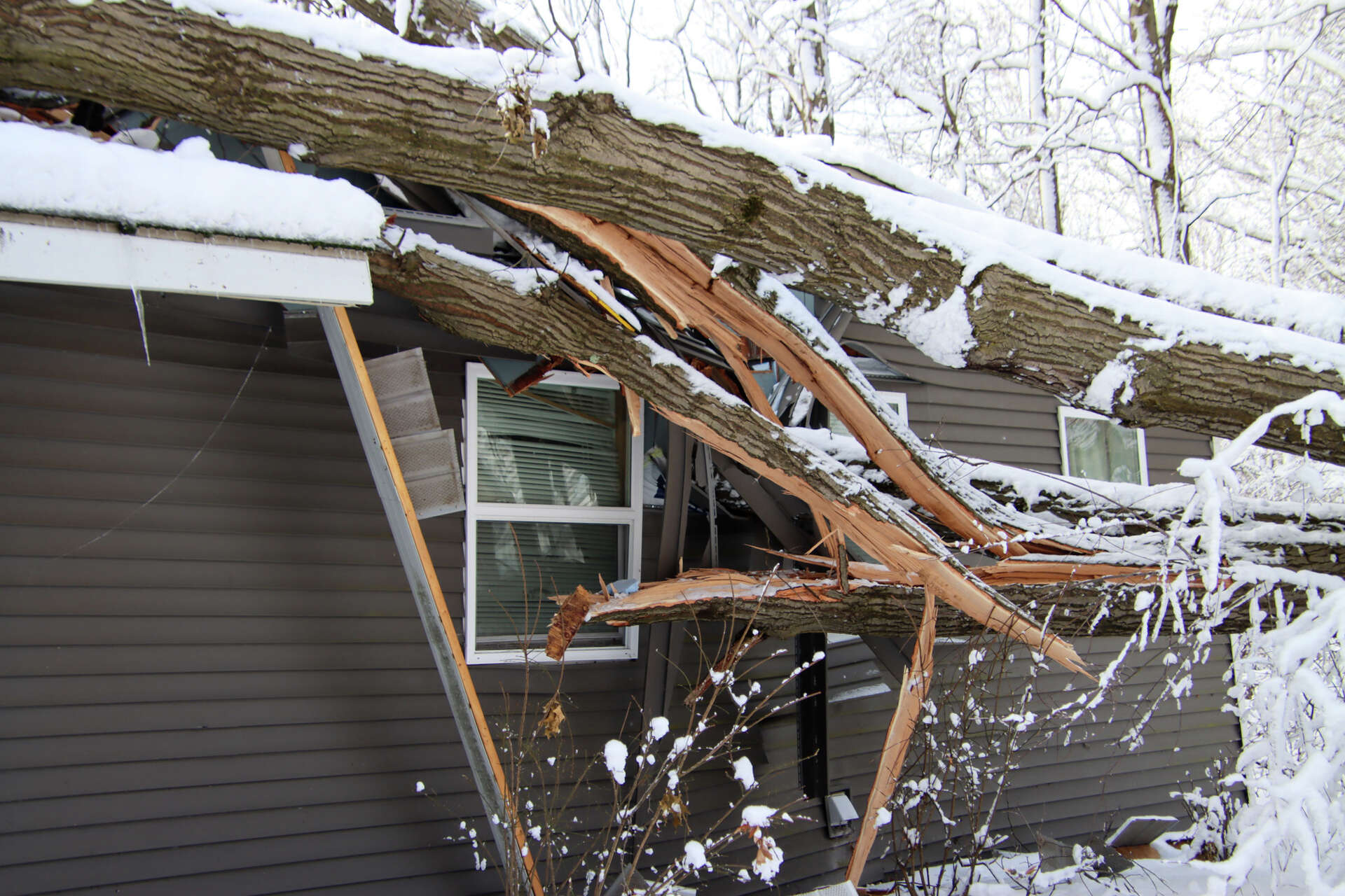 Tree splits Midland County home in half during winter storm