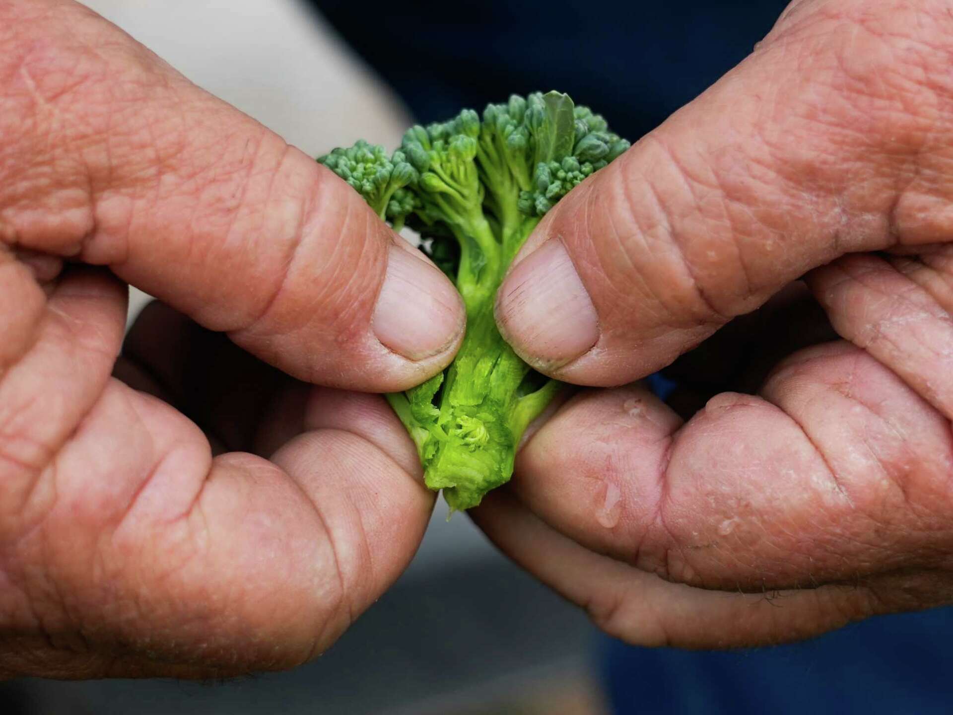 Broccoli florets sold at Texas Walmart stores recalled