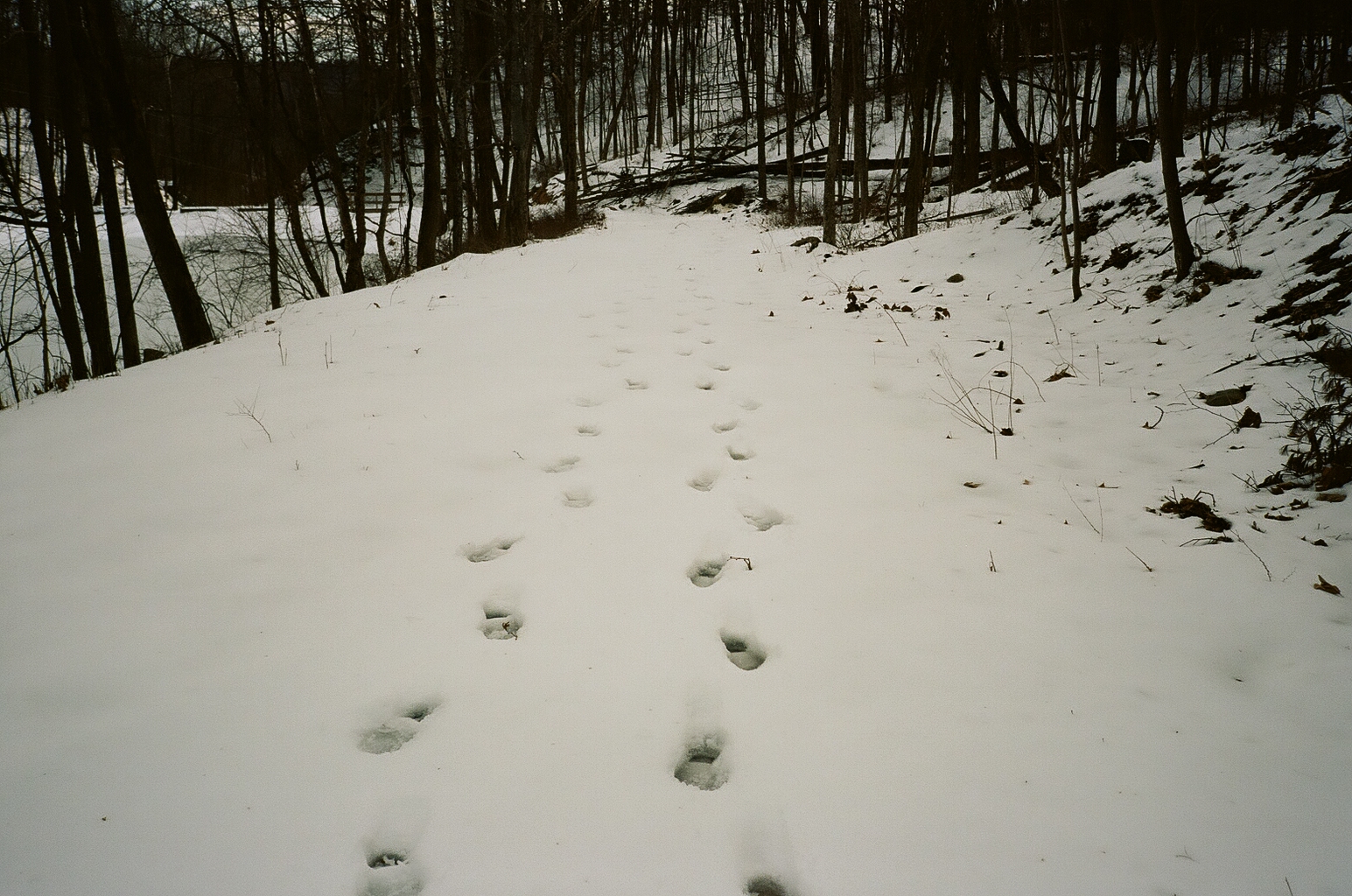7 rules of hiking etiquette every trail lover should know