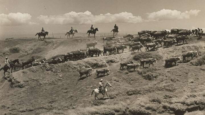200 years ago, 3 Californians crossed an ocean, changed Hawaii forever