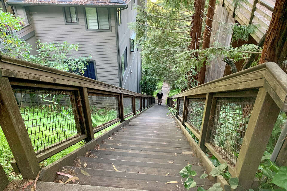 Exploring 38 secret stairway walks in the Bay Area