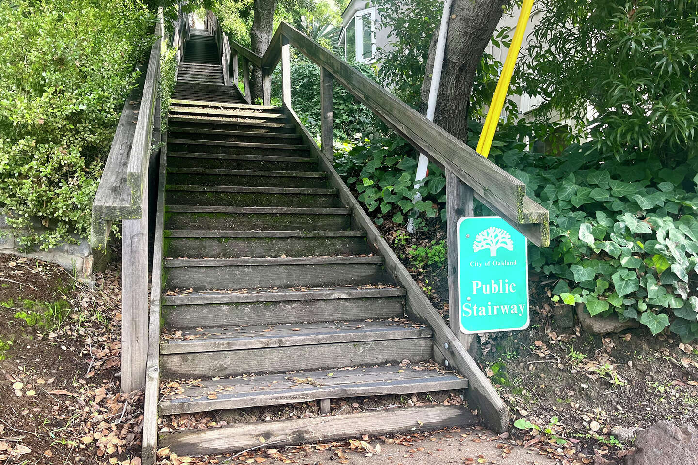 Exploring 38 secret stairway walks in the Bay Area