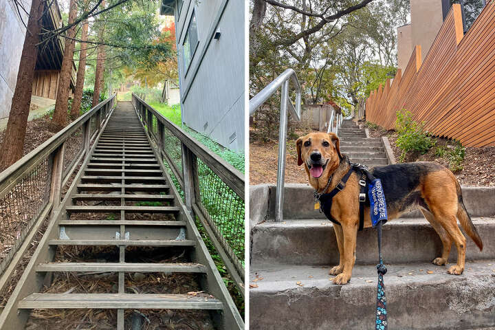 Exploring 38 secret stairway walks in the Bay Area