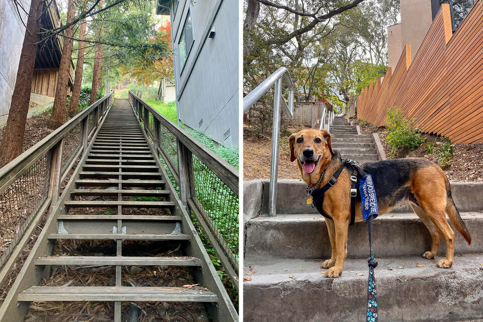 Exploring 38 secret stairway walks in the Bay Area