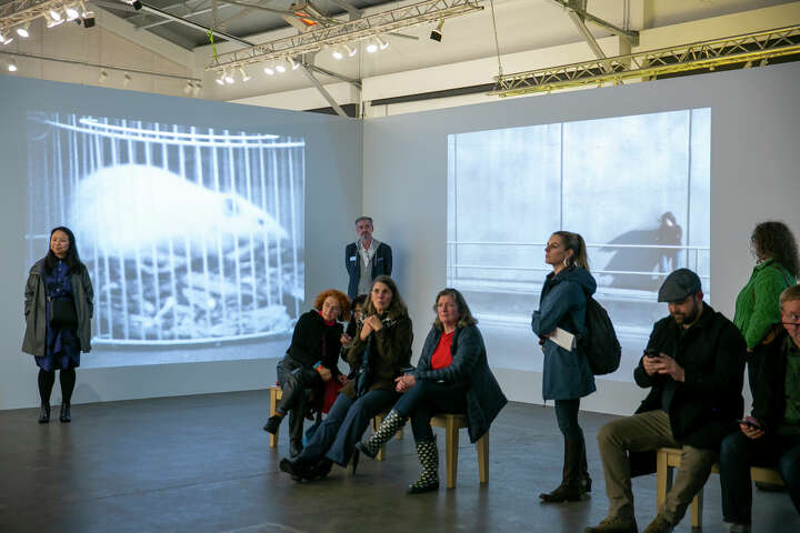 S.F. artist Bonnie Sherk showed how to revive a troubled city