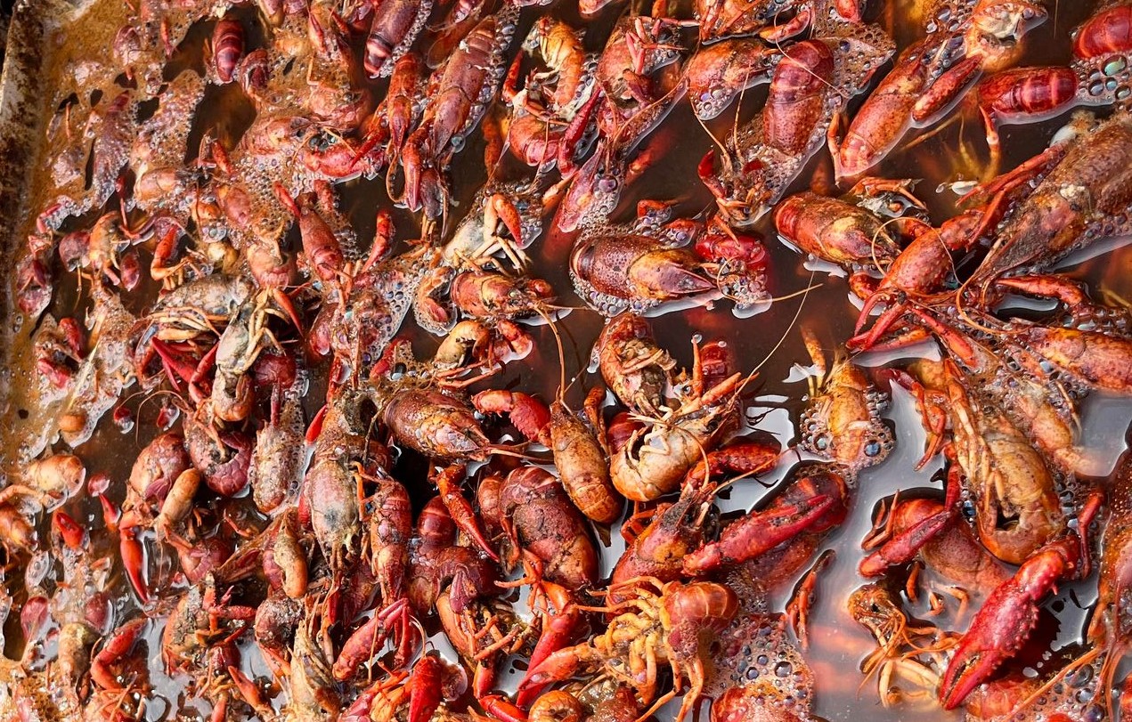 Poor crawfish season impacts New Braunfels seafood eatery