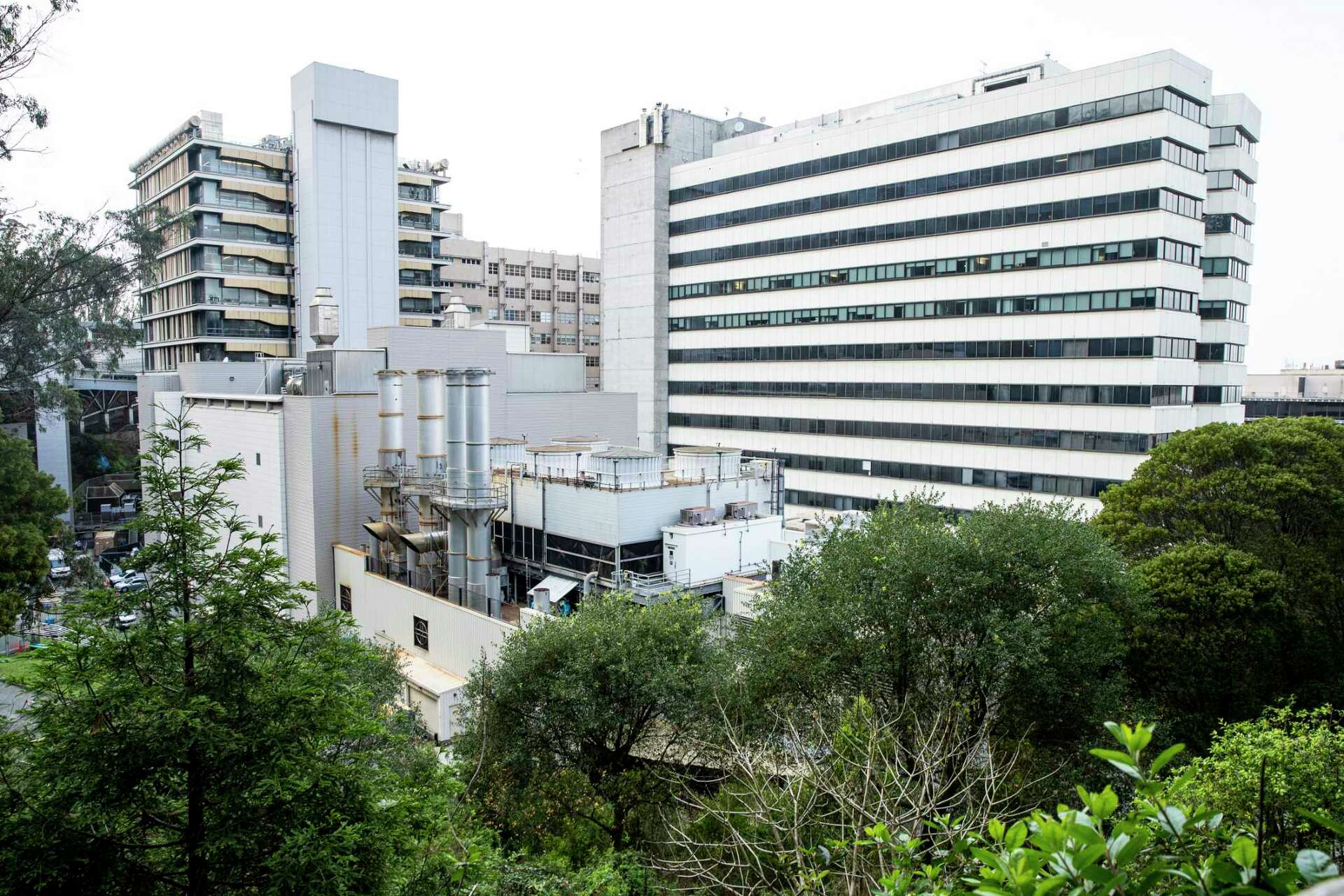 Hearst Foundations surpass $1.5 billion grant milestone