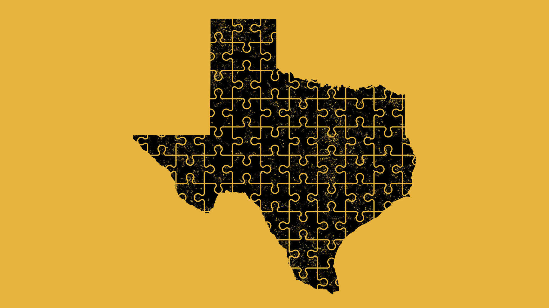 Texas election 2024: Why is the primary important?
