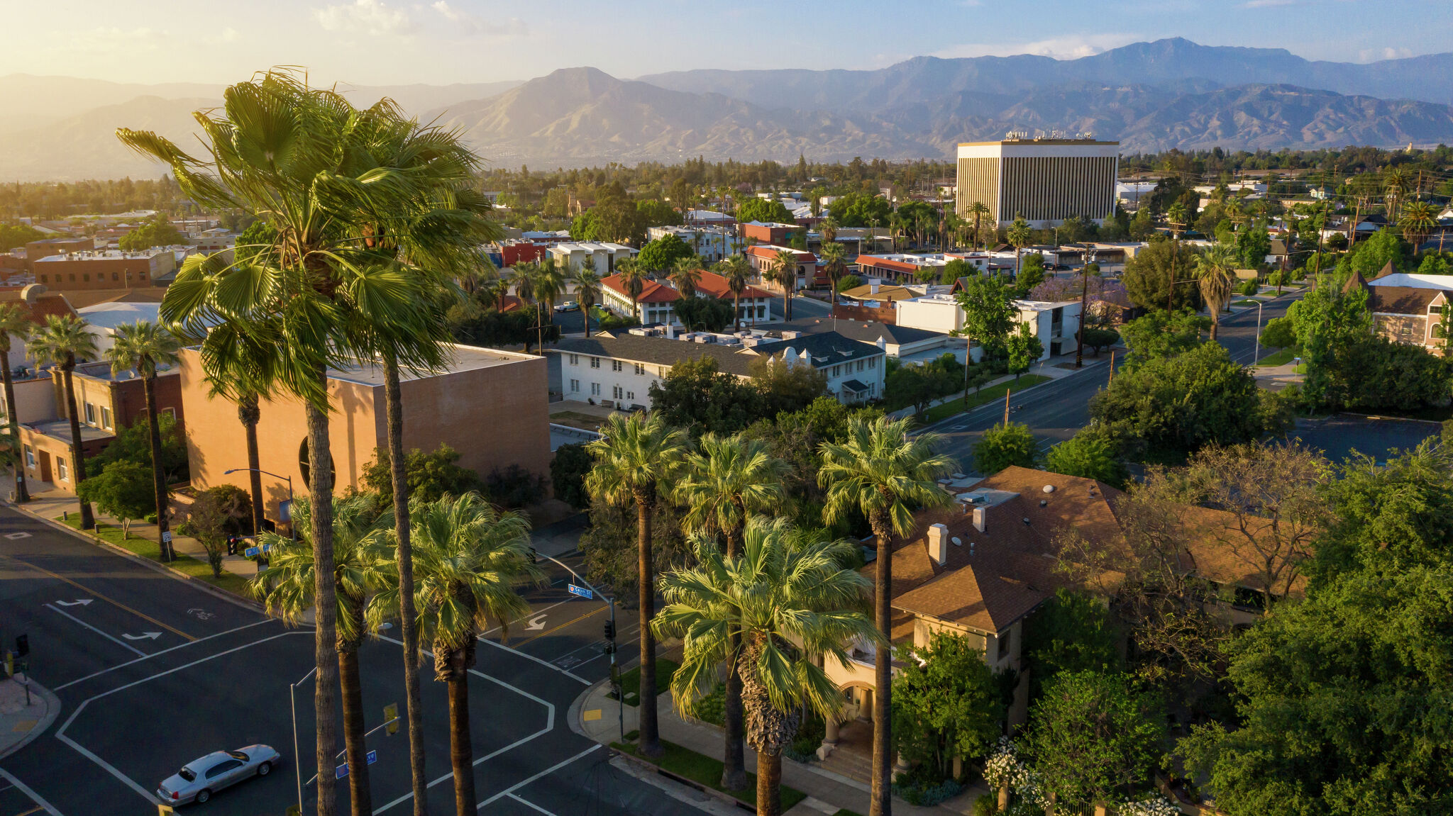 Destructive flies have invaded a trendy California enclave
