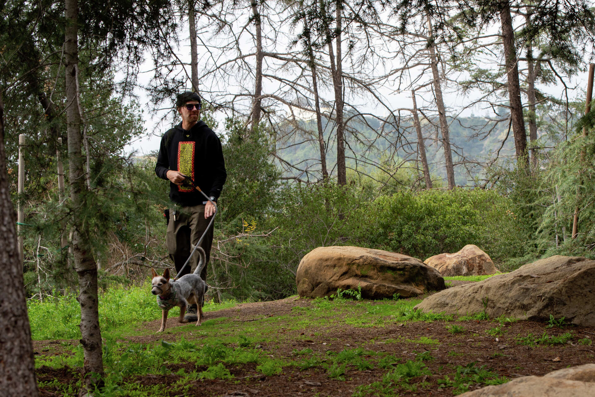 Scenes from 'Twilight' were filmed at this secret forest in the middle