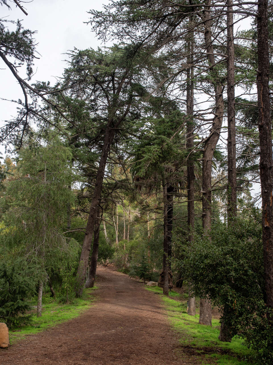 Scenes from 'Twilight' were filmed at this secret forest in the middle