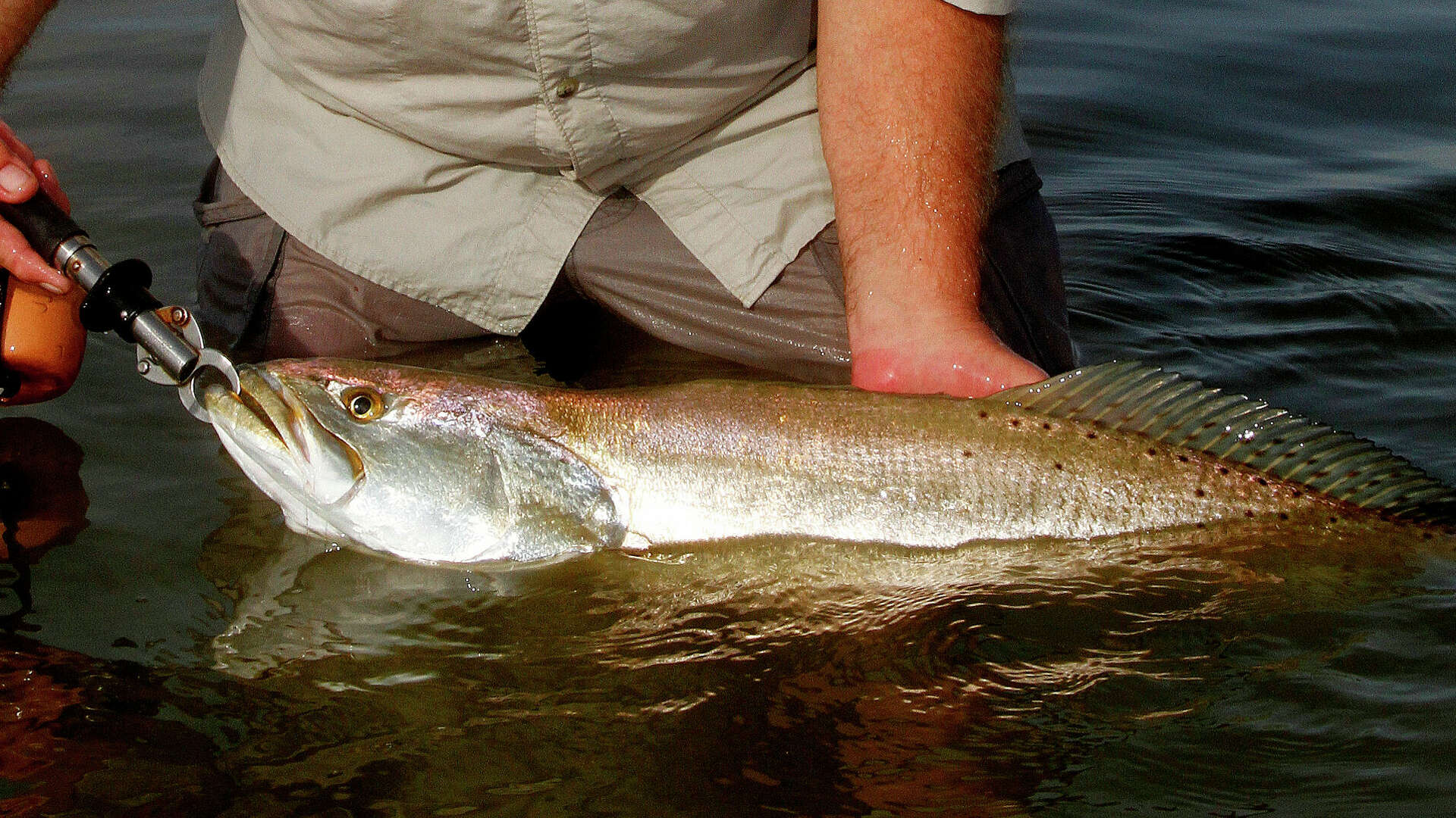 Texas speckled trout fishing: Bag and slot limits changing