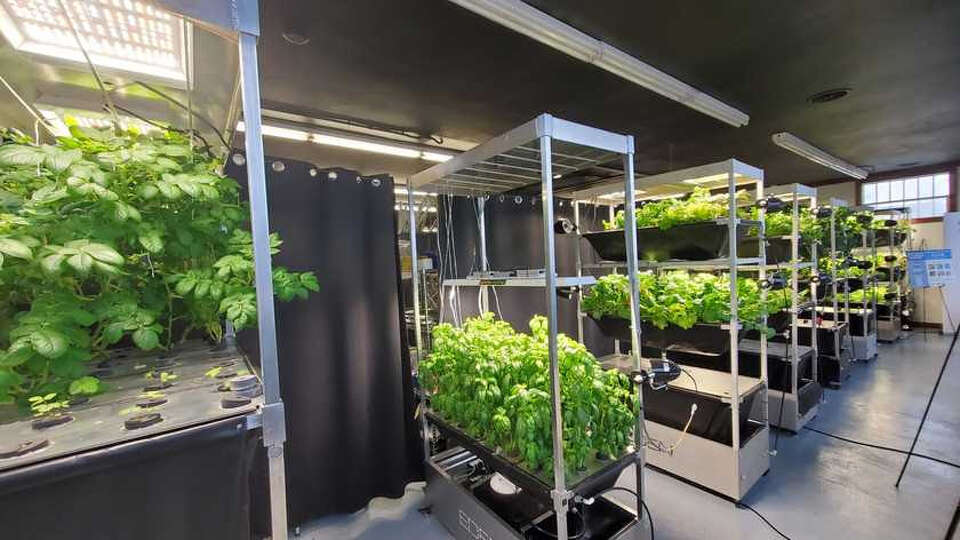 Houston landmark to be transformed into an indoor farm