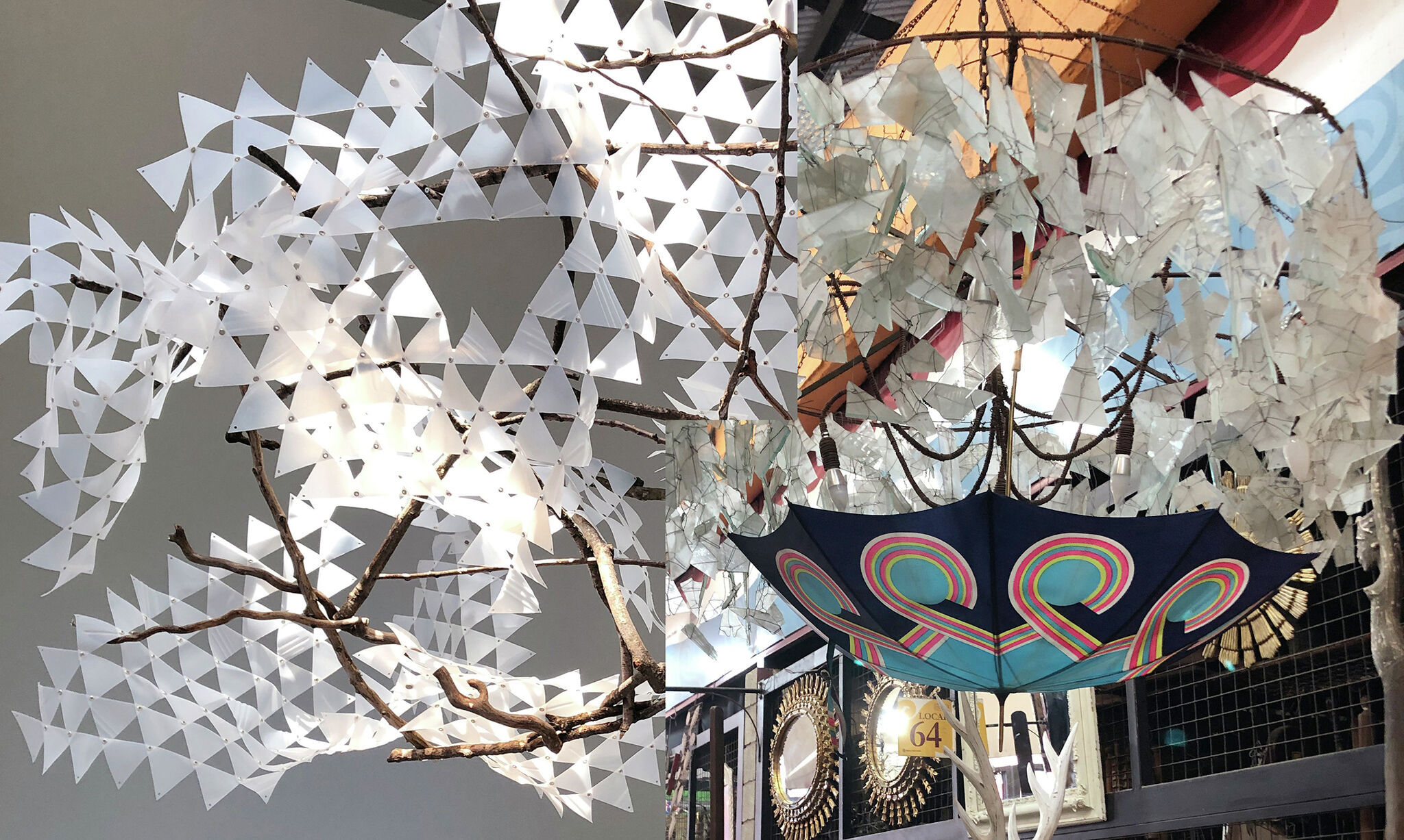 Trio of art exhibits focused on instinct, longevity, survival