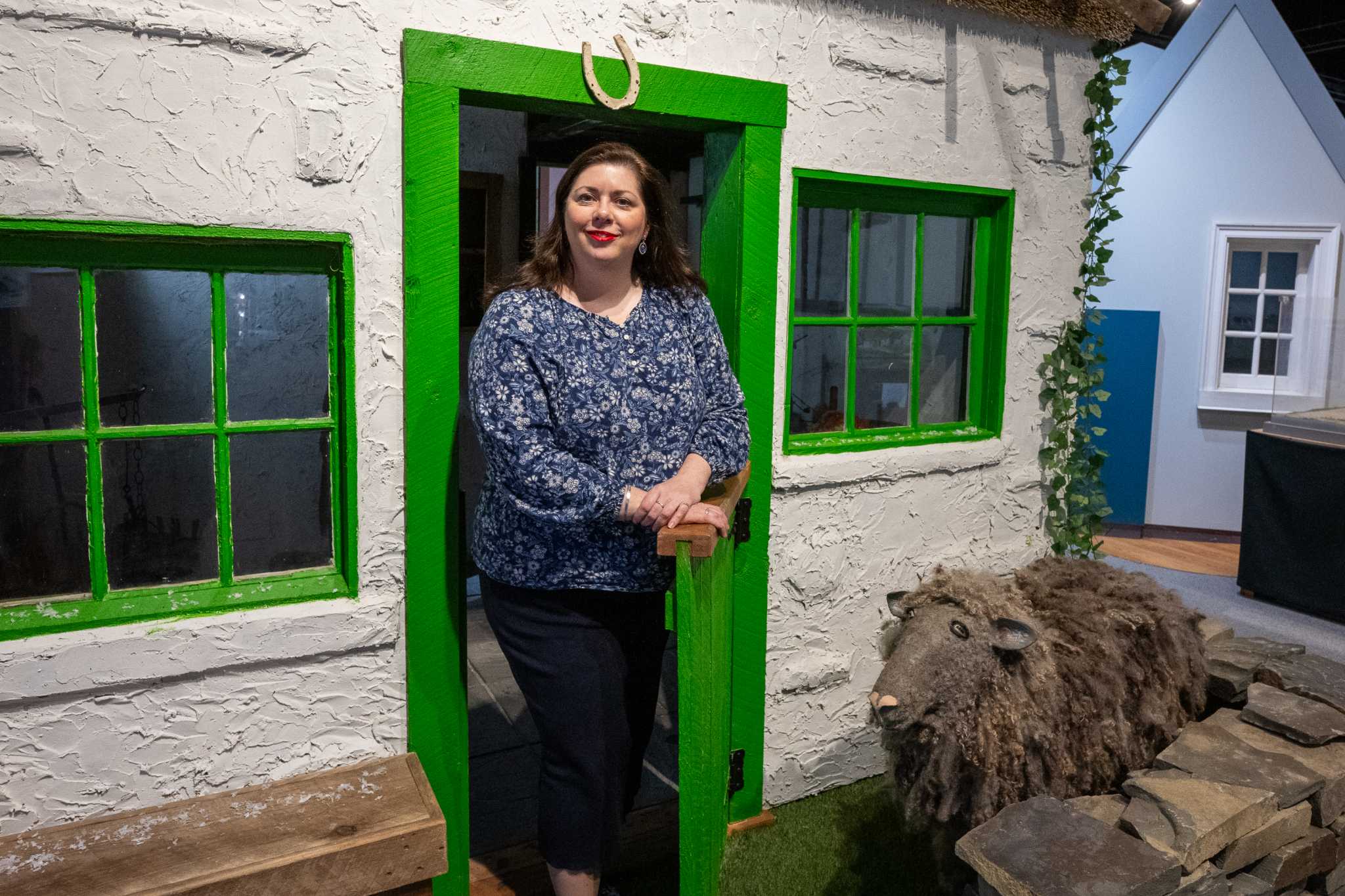 Albany's Elizabeth Stack to lead American Irish Historical Society