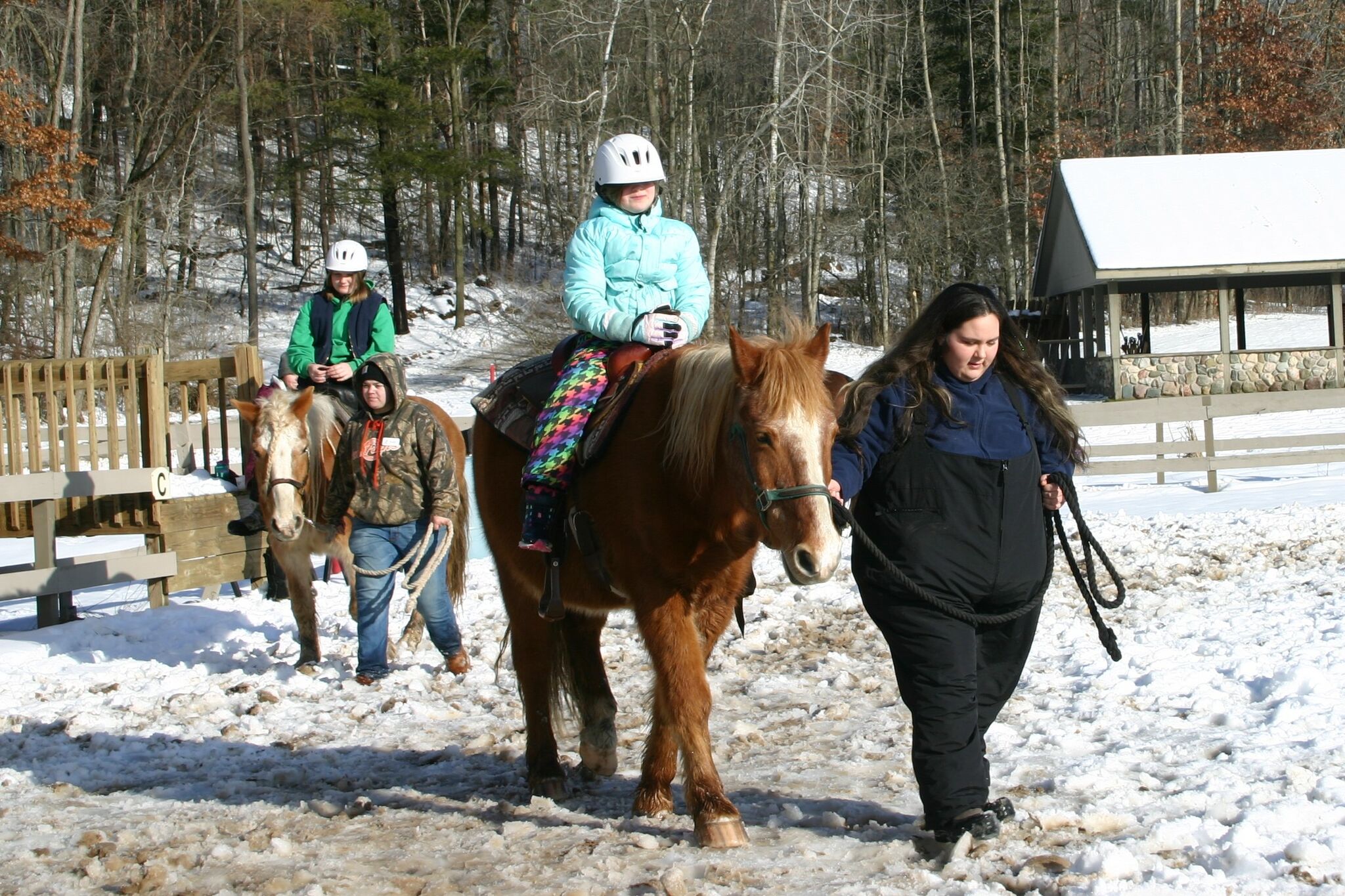 CranHill Winterfest 2024 in Rodney draws big crowd