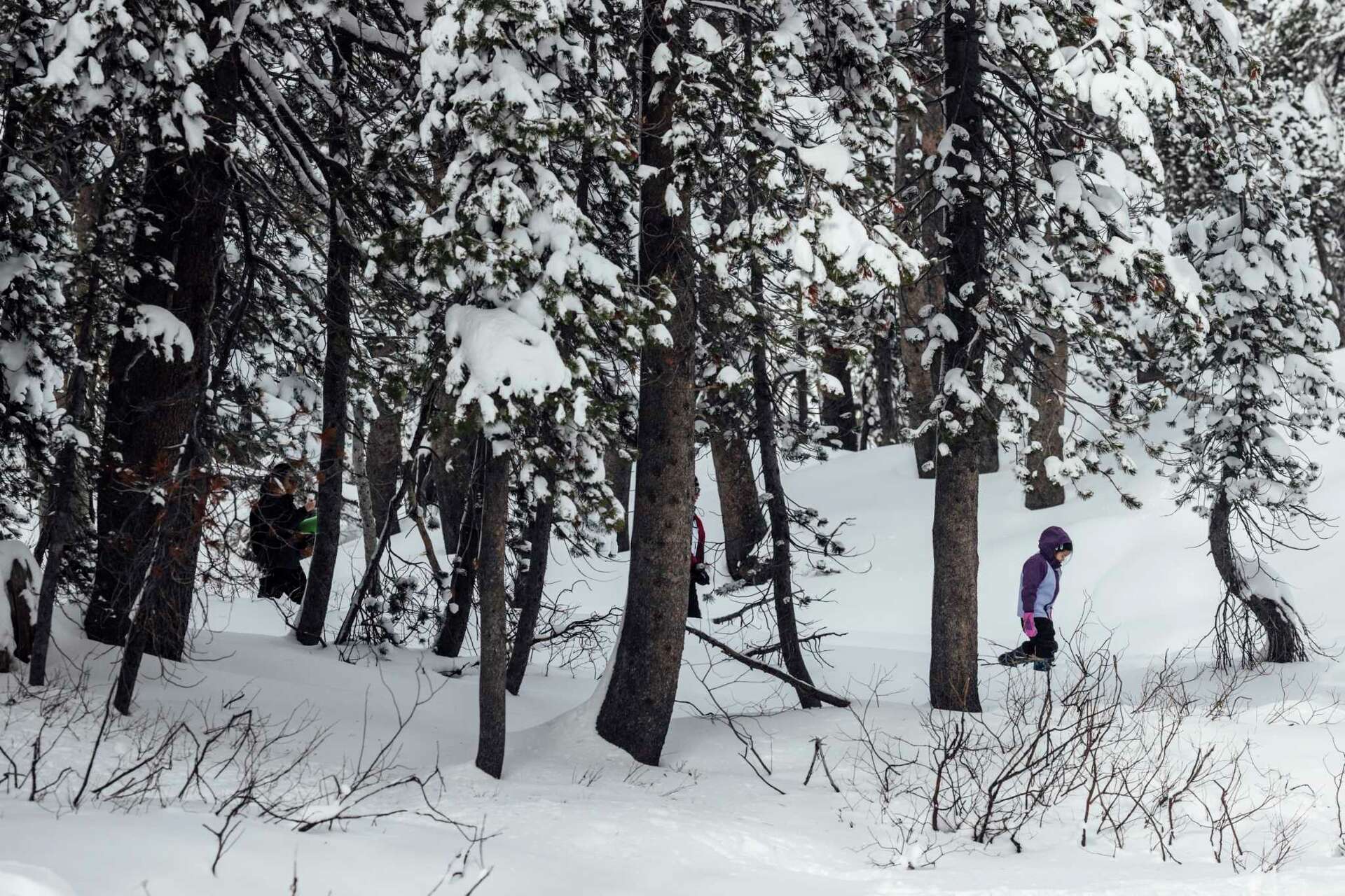 Here’s where California’s snowpack stands with winter half over