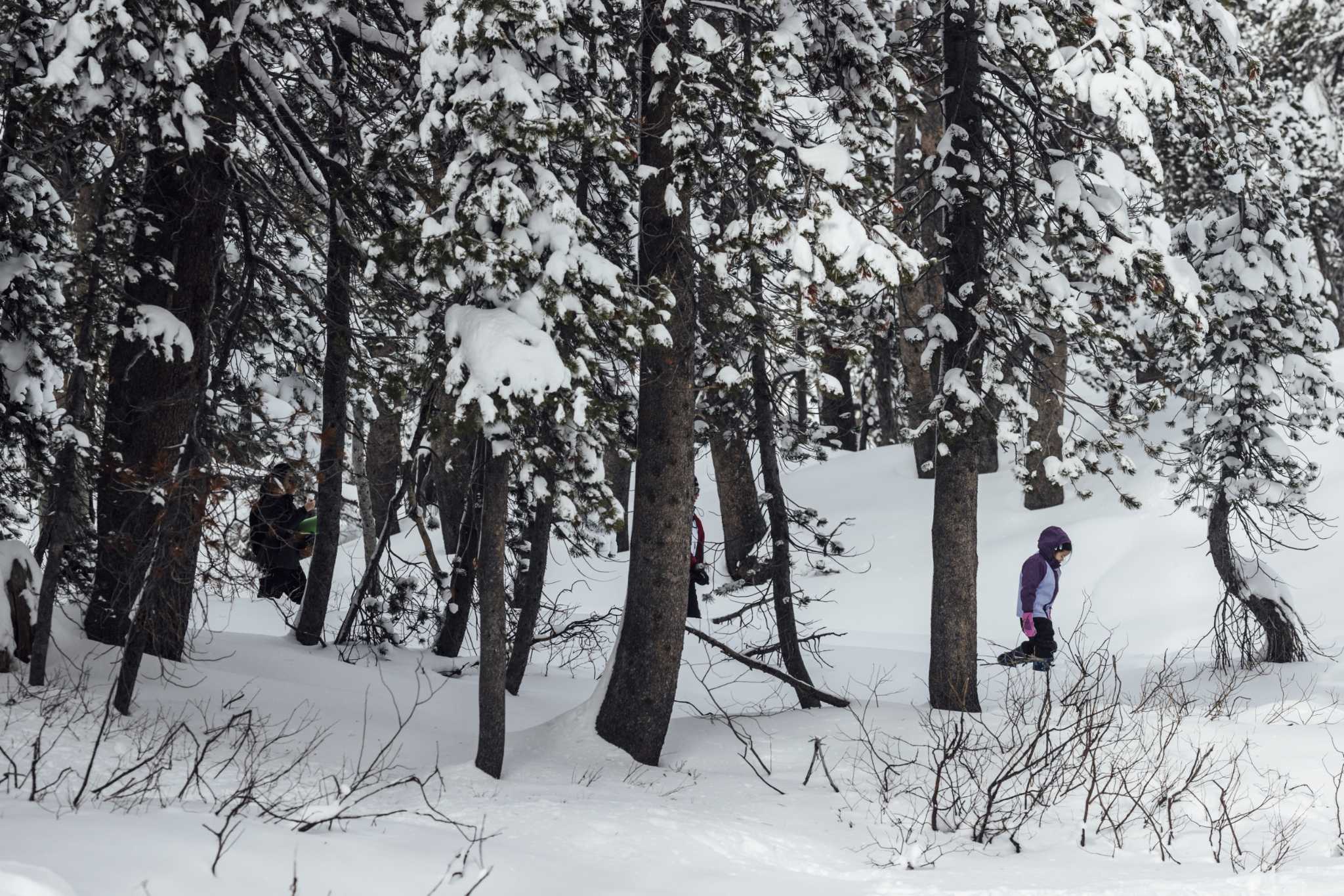 Here’s where California’s snowpack stands with winter half over
