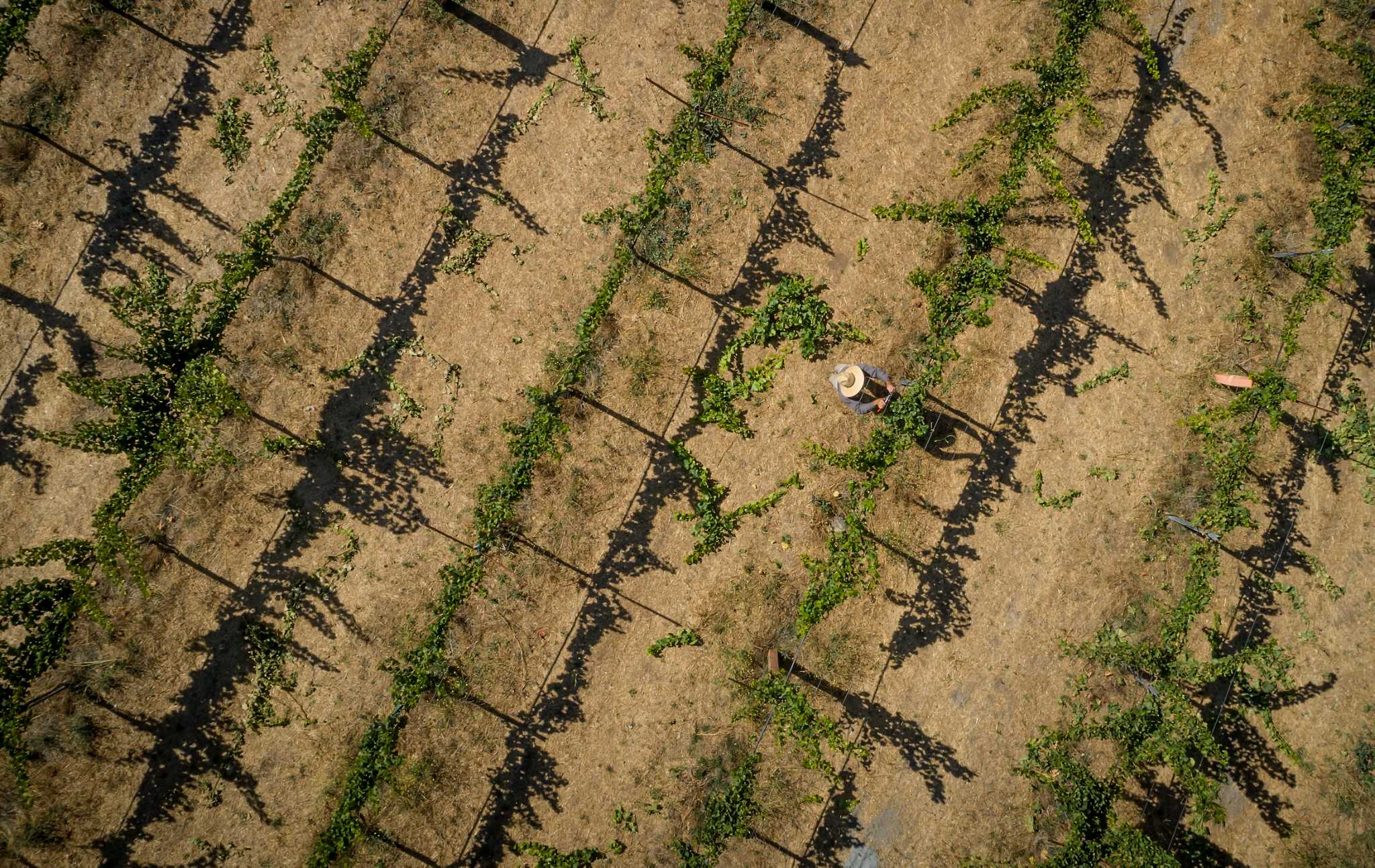 California’s water woes are uniquely dire — but there’s also good news
