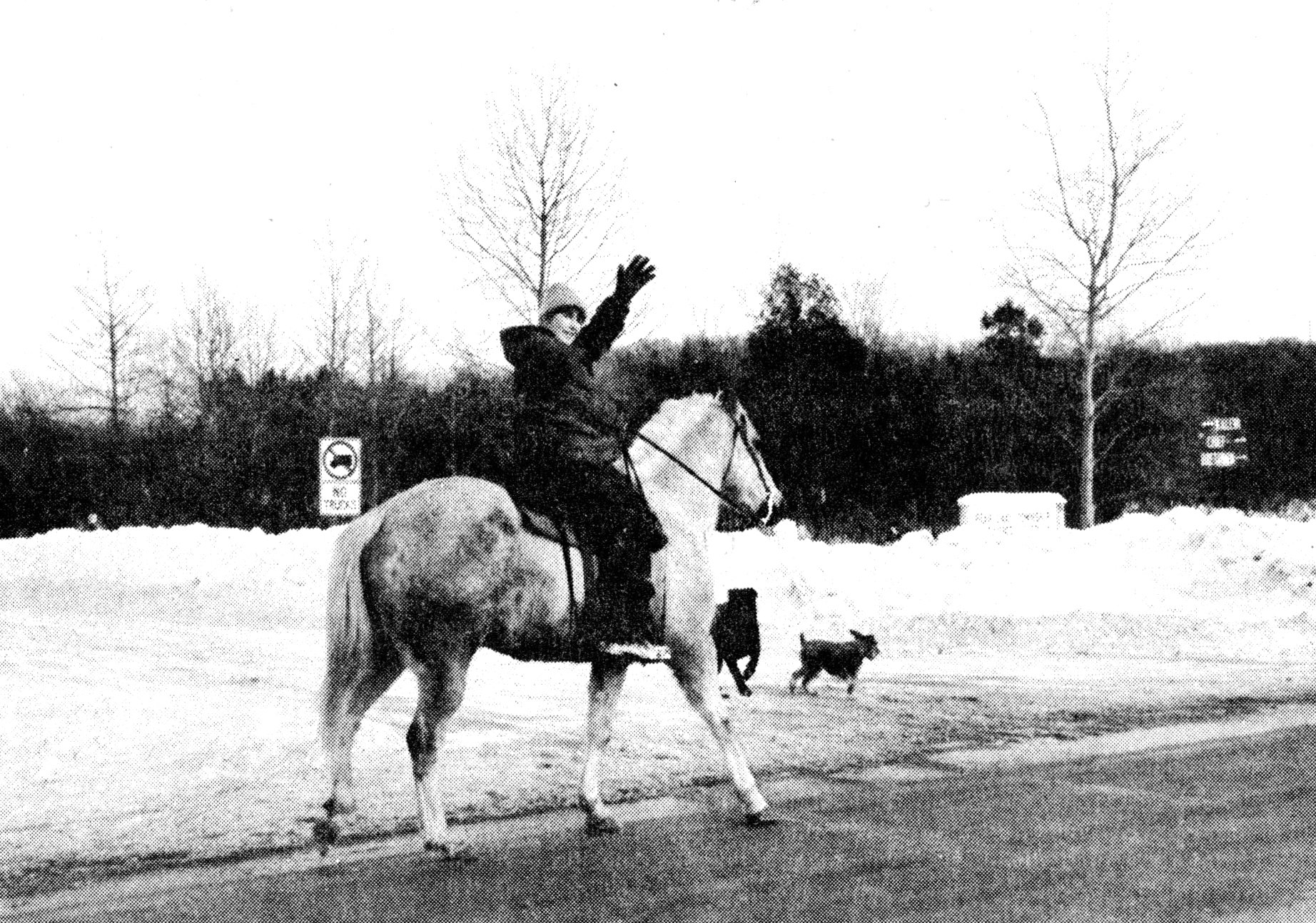 Brethren's Cameron Somsel was killed in action serving as a gunner