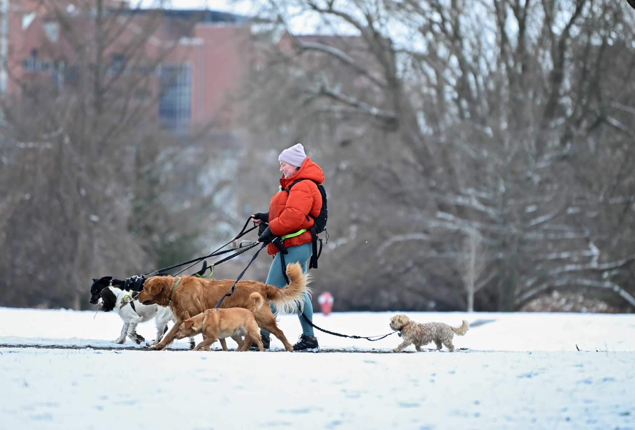 How to beat the gray-day blahs in the Capital Region