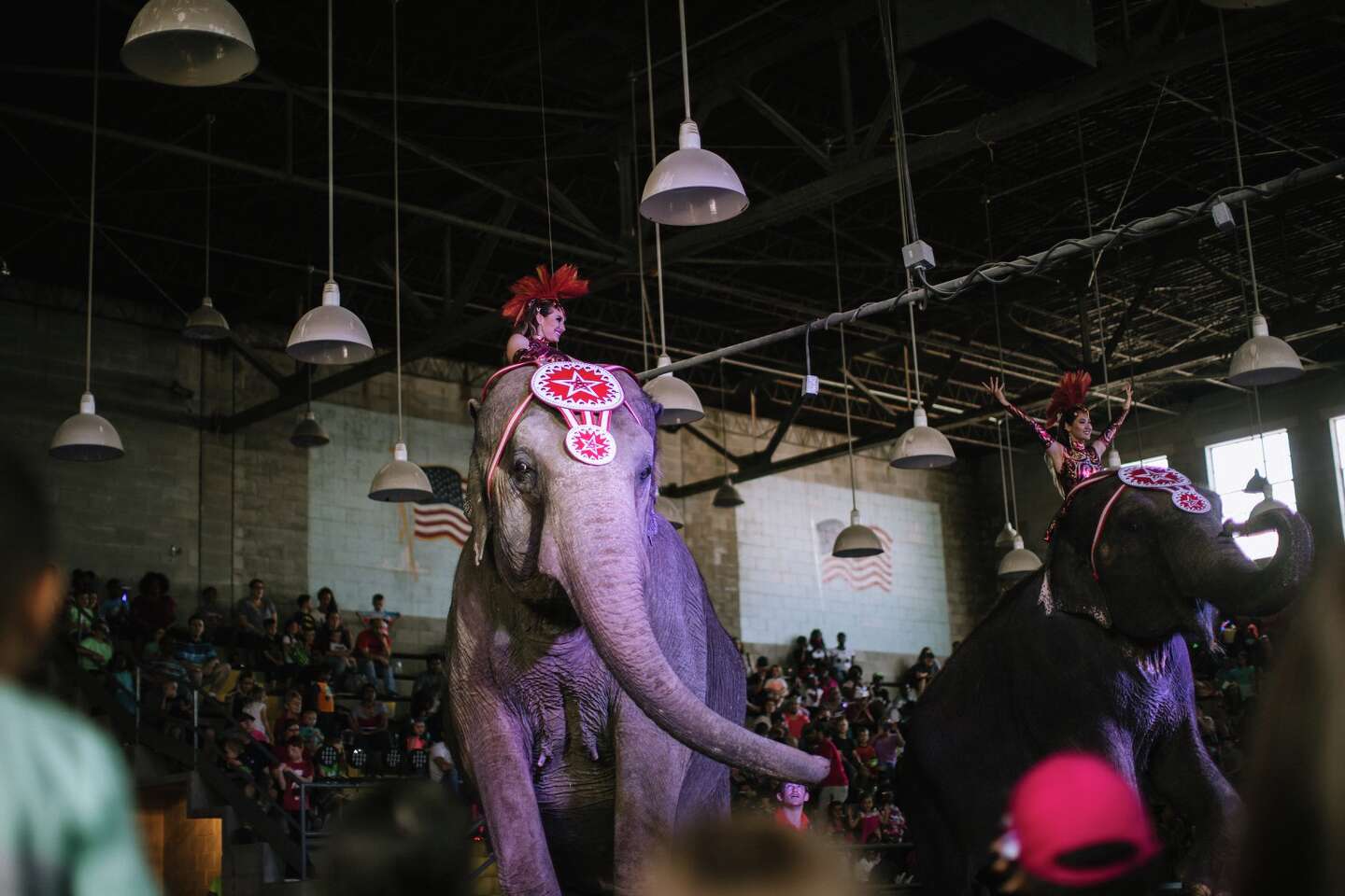 Garden Bros Nuclear Circus coming to Houston in February