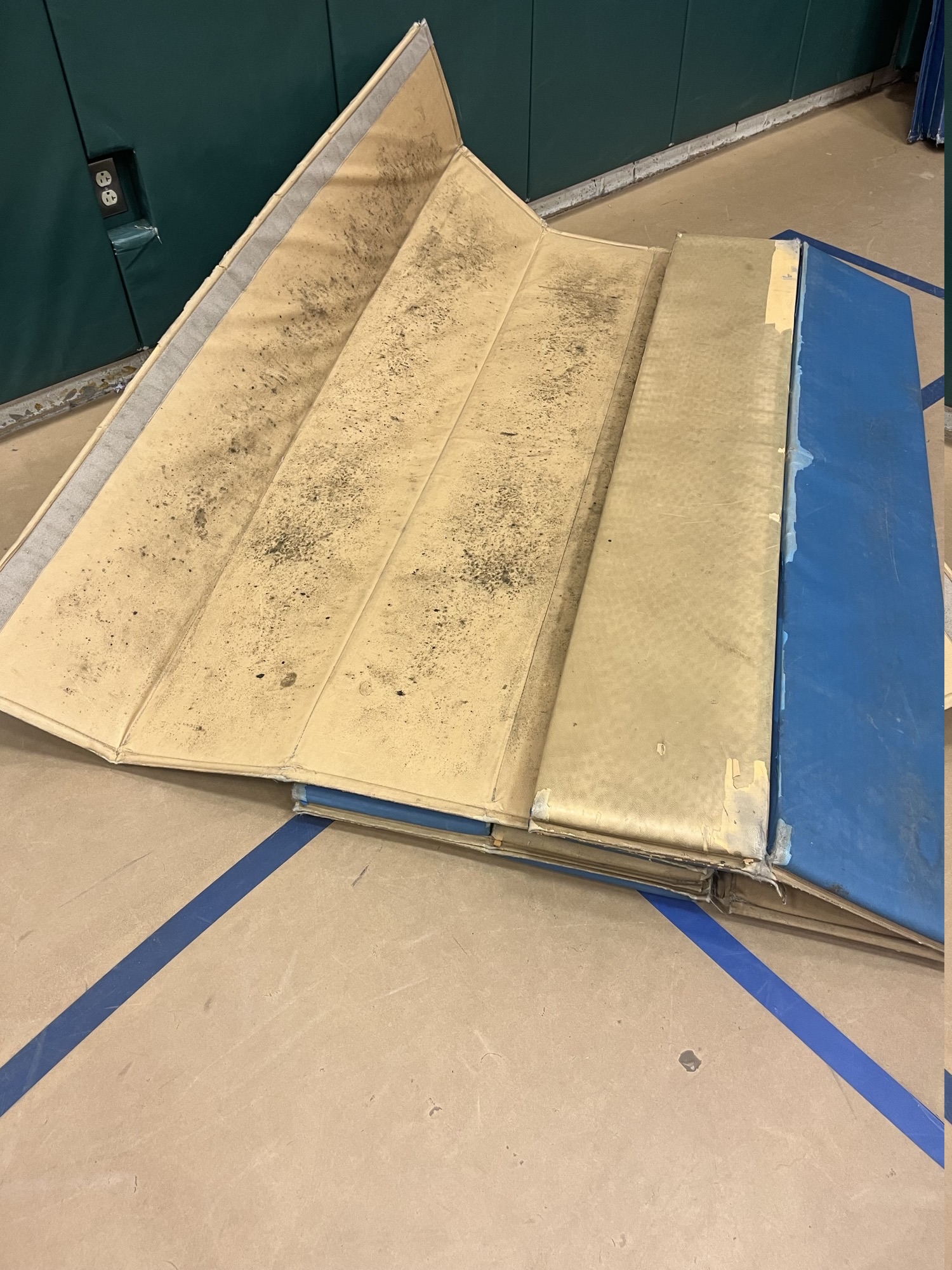Brookfield schools clean moldy mat that sparked online outcry