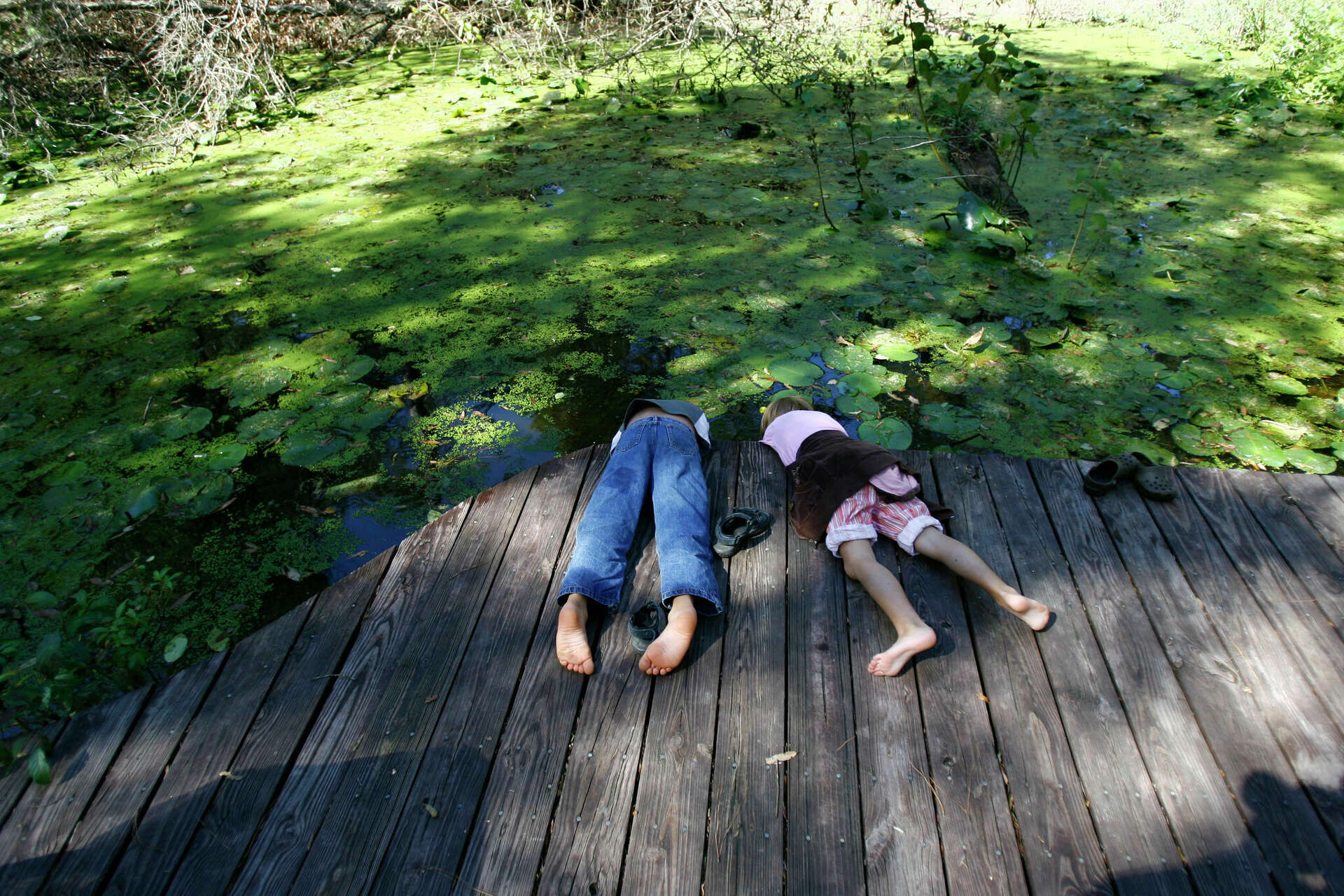 Was Houston built on a swamp?