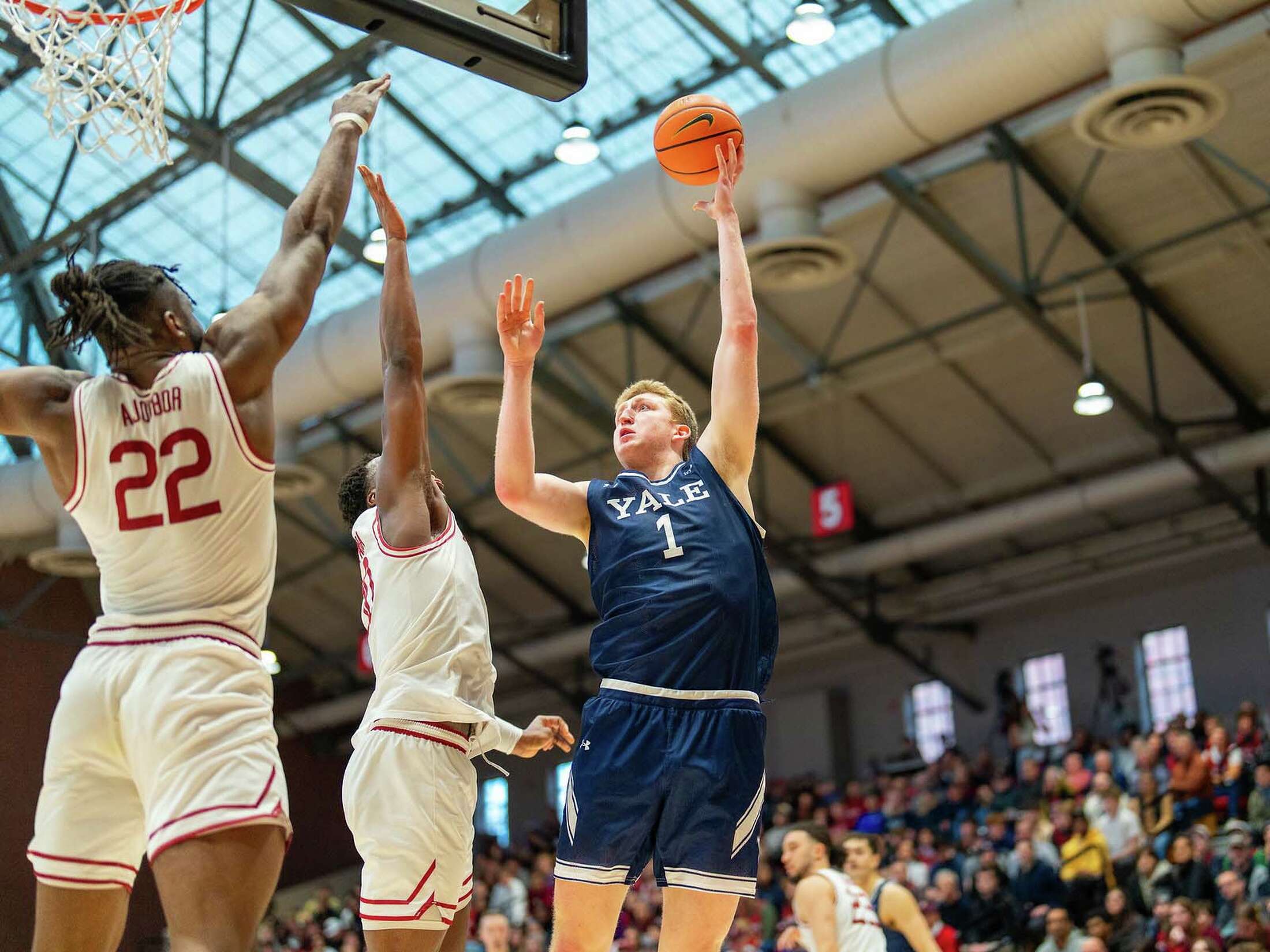 Yale's 7-foot Danny Wolf embraces role as versatile, selfless big man