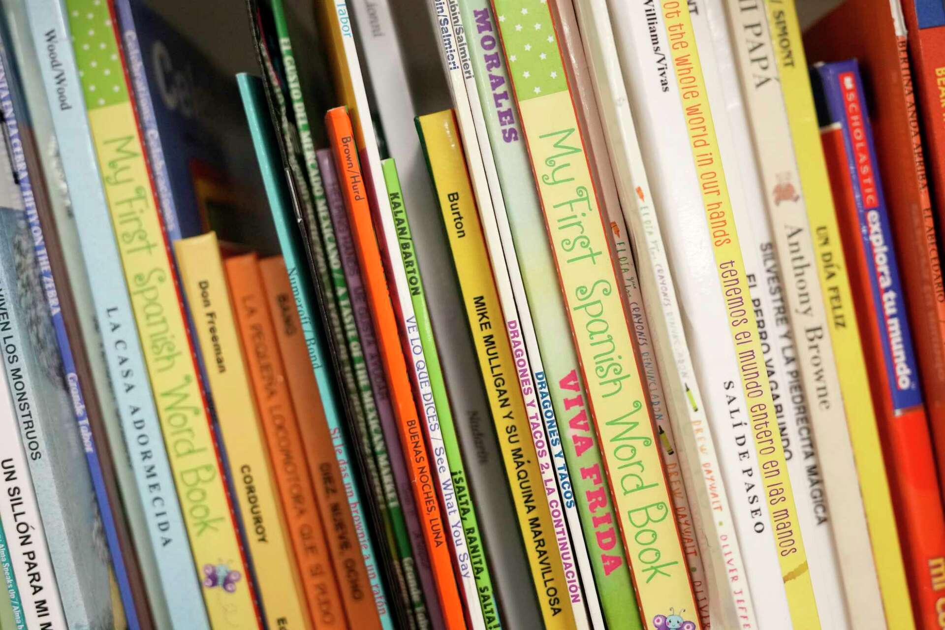 Houston among cities to get a Dog Man-themed Little Free Library