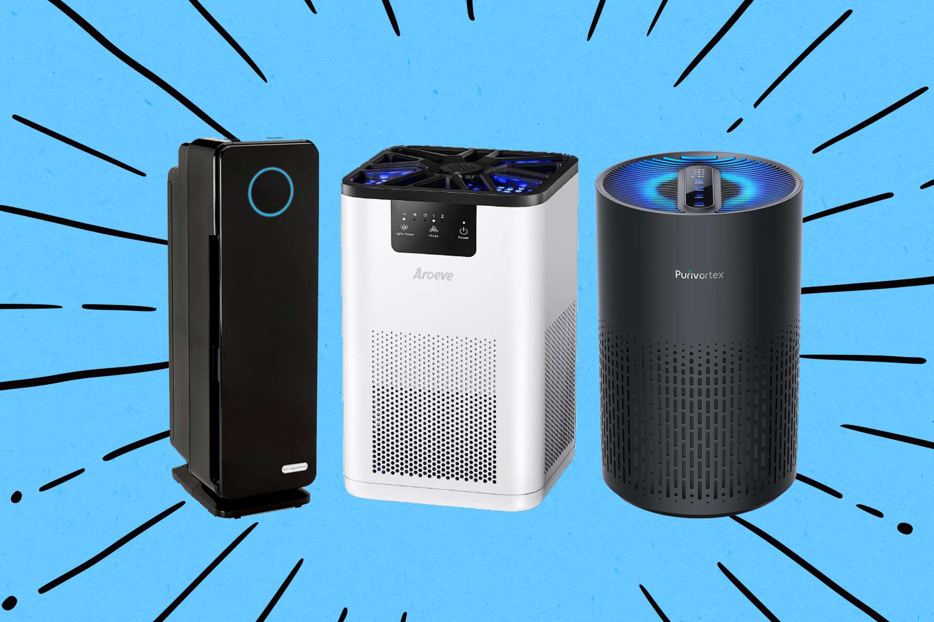 The best large room air purifiers, according to an expert