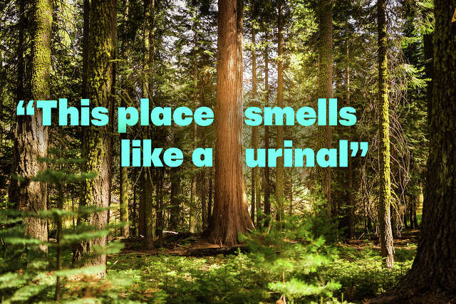 Why California's national parks love a viral bad review
