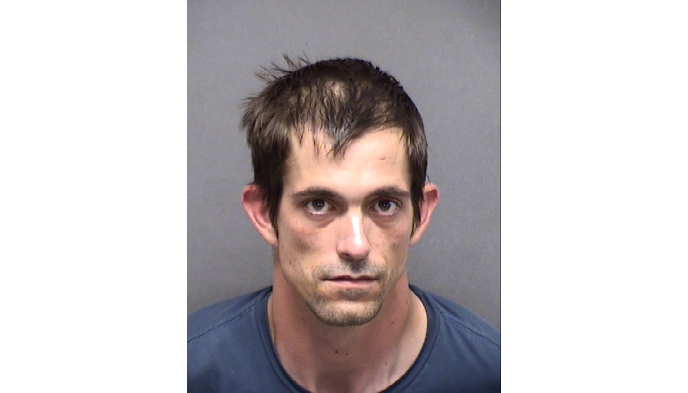 ibrahim malik wayne state