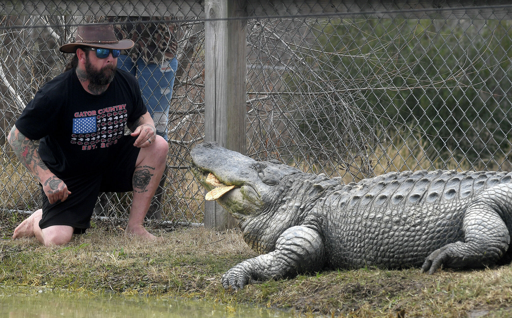 Gator Country's Big Al says 'break out the bathing suits'