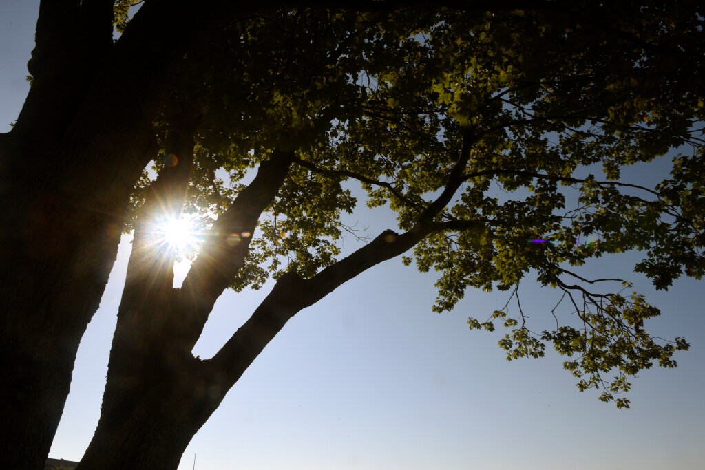 Sunshine returns to Connecticut Saturday, weather service says