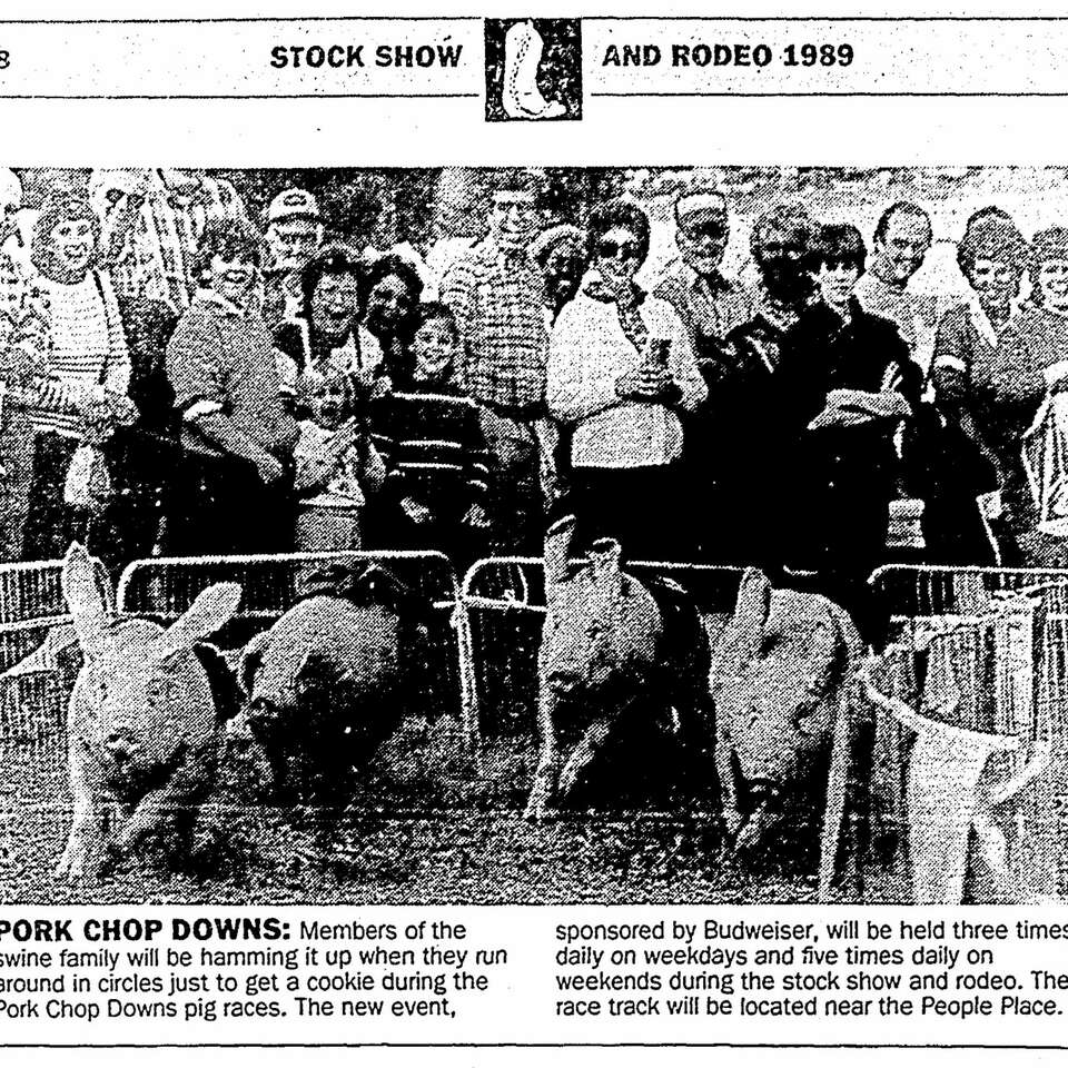 San Antonio Stock Show & Rodeo pig races star 'Kevin Bacon'