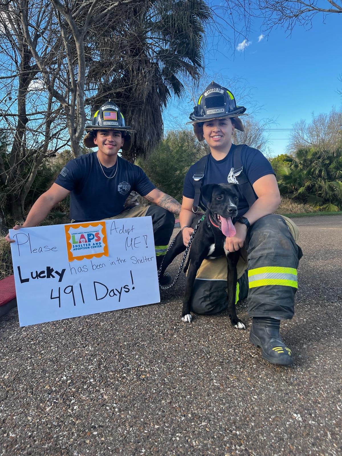 LAPS, BFFL team with Petco in Laredo for cat and dog adoption events