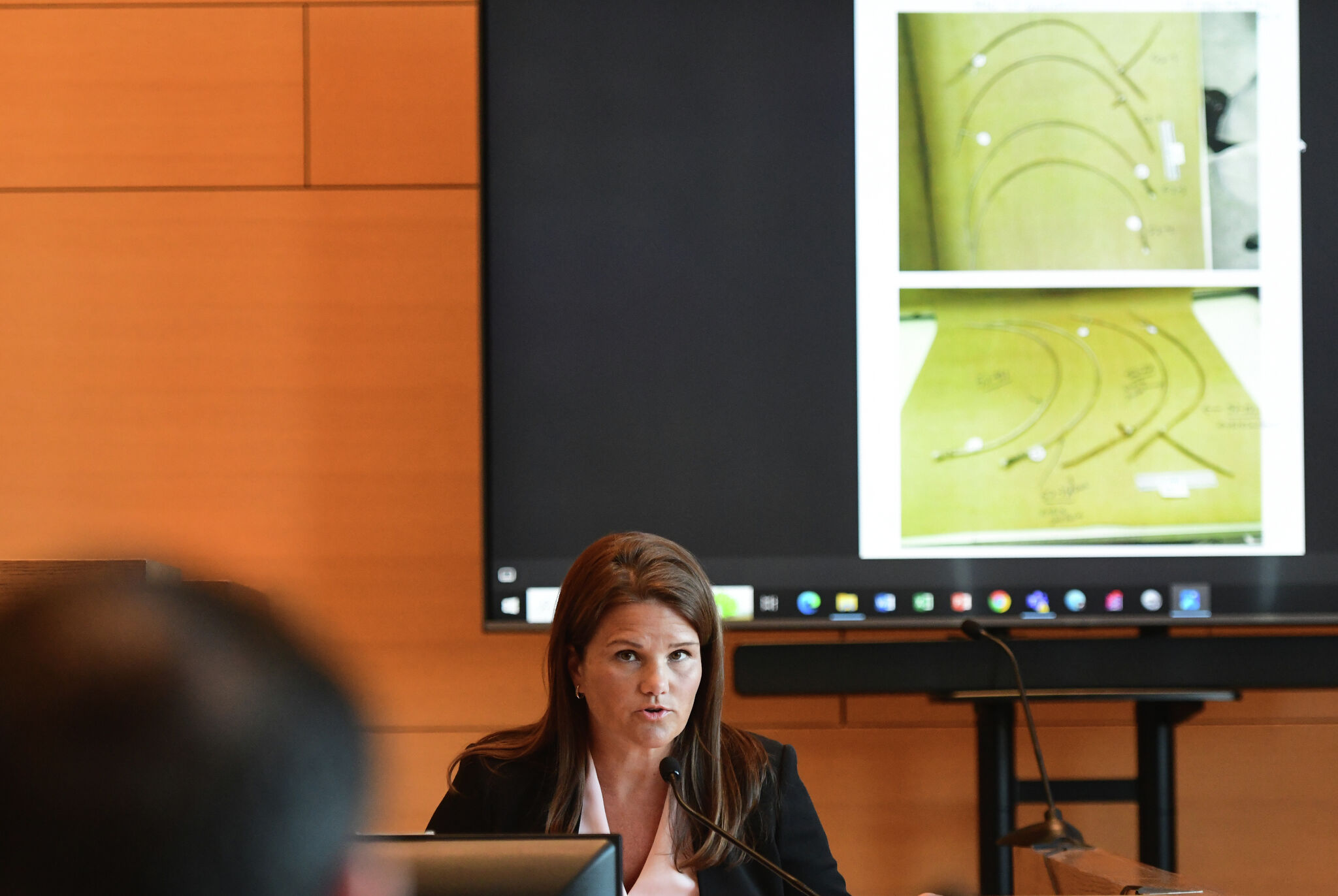 Expert: Troconis' DNA likely found on garbage bag in Dulos case