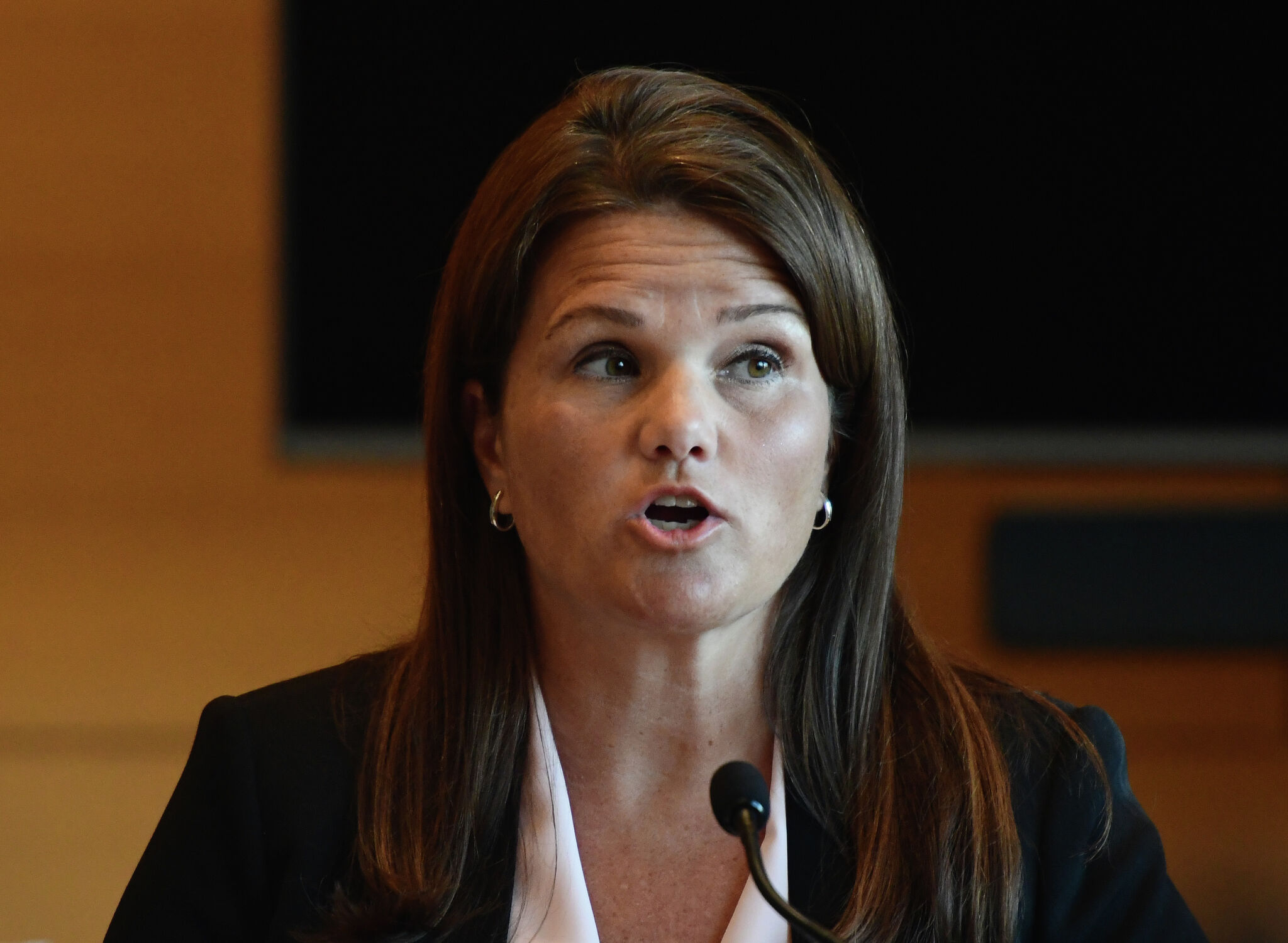 Expert: Kent Mawhinney's DNA not tested in Dulos case: Live updates