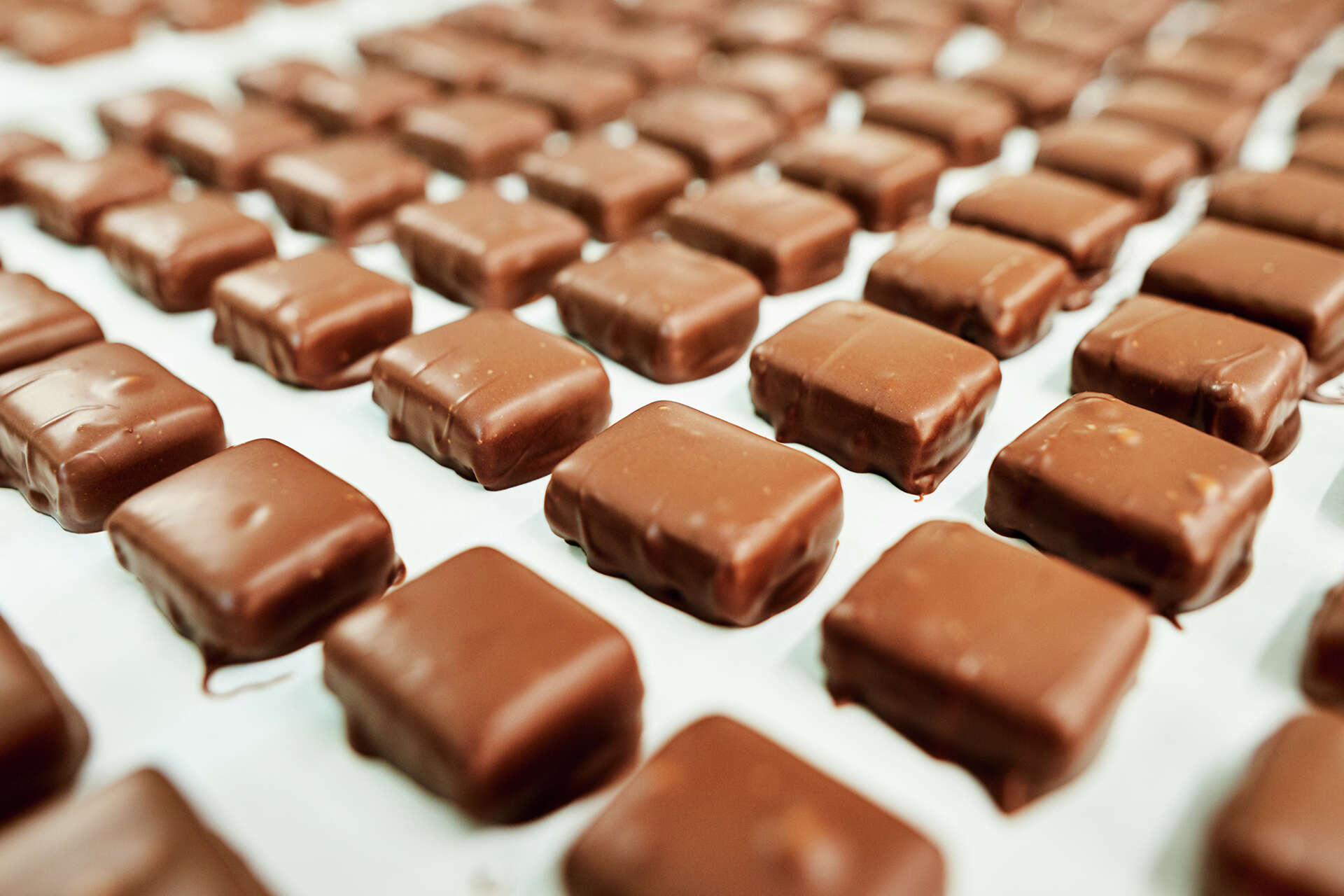 Bay Area psilocybin bars allegedly contain synthetic drug