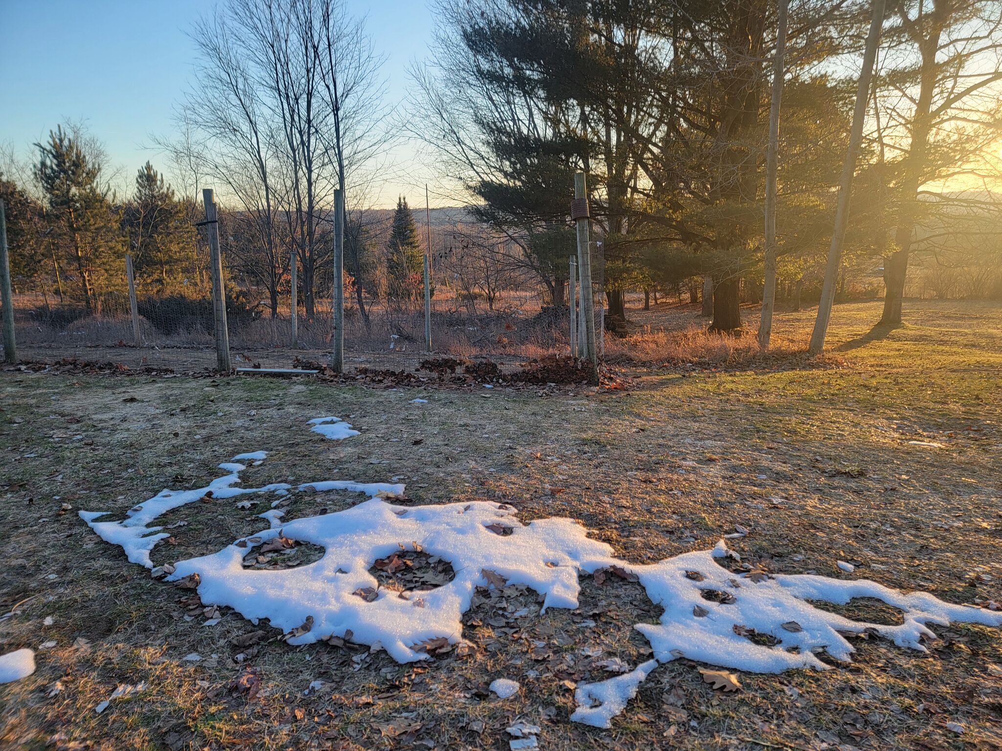 Northern Michigan having a 'non-winter' according to meteorologists