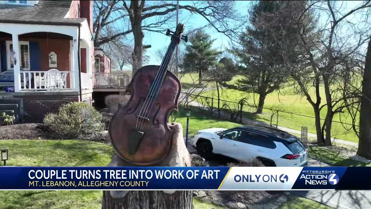 Huge silver maple tree damaged by storm given new life as a work of art