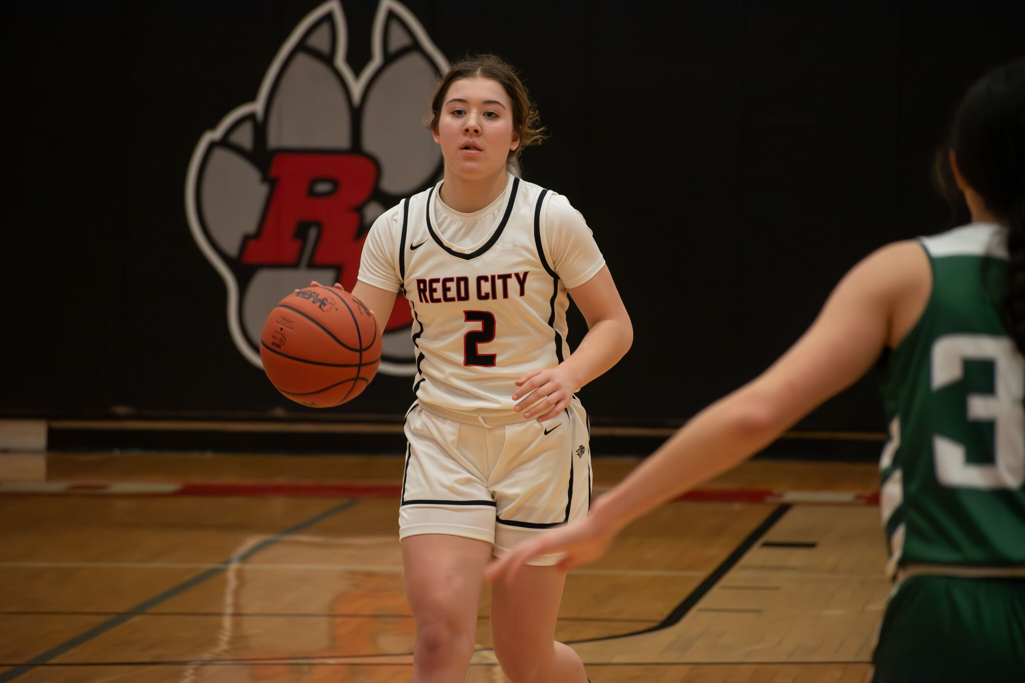 Reed City girls basketball posted best season in years in 2024
