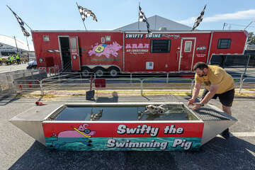San Antonio Stock Show & Rodeo pig races star 'Kevin Bacon'