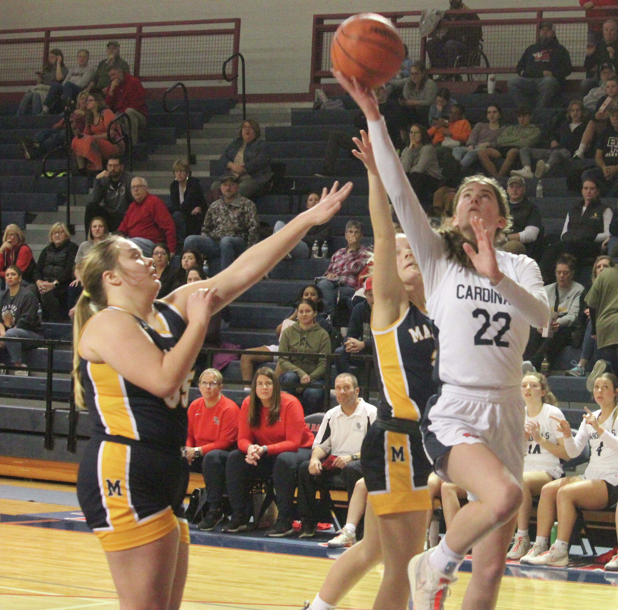 Cardinal girls defeat Manistee
